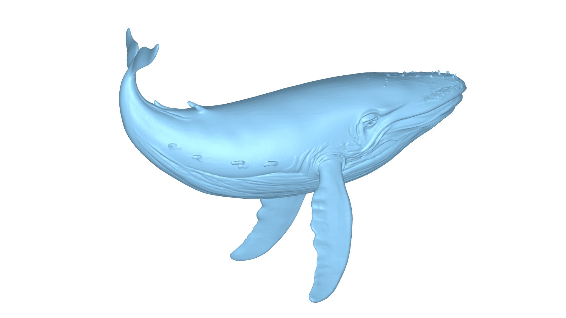 3D Humpback Whale 3D Printable Model STL OBJ - TurboSquid 2361994