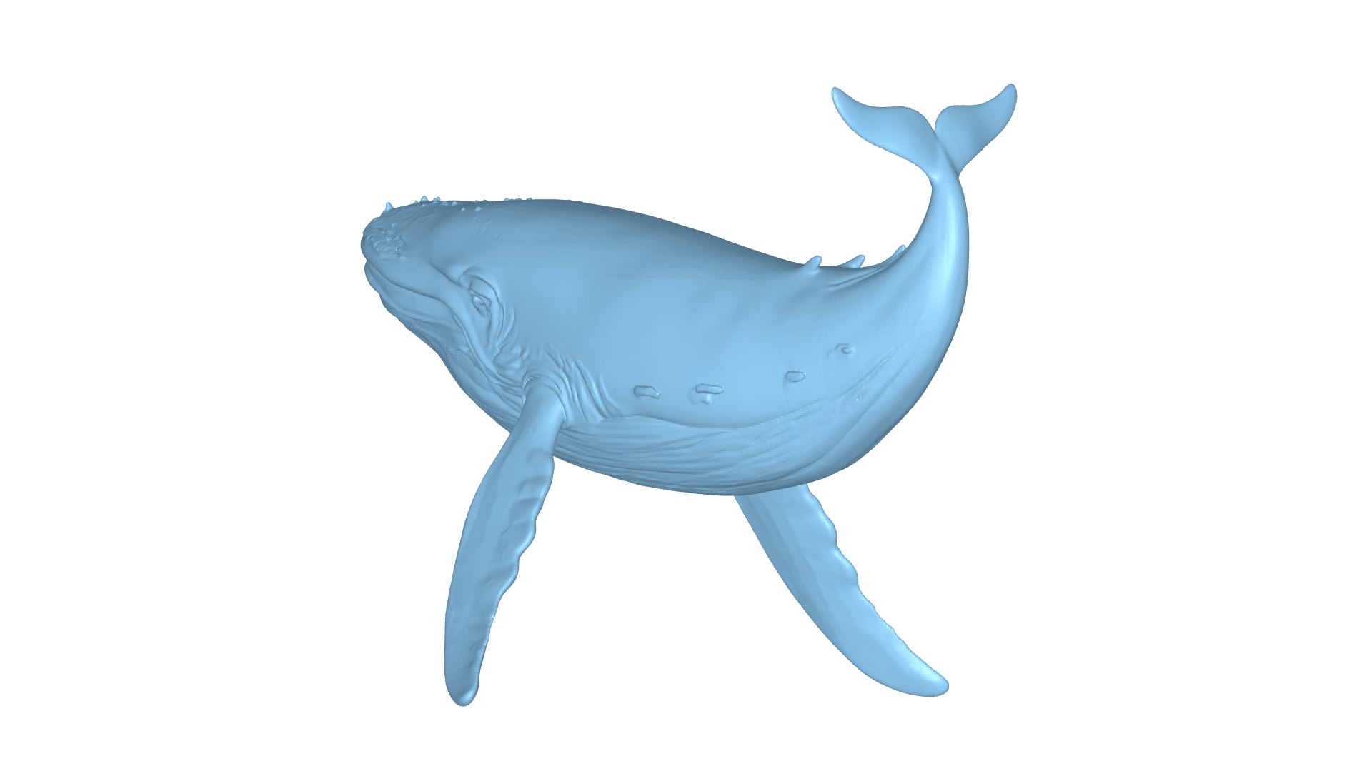 3D Humpback Whale 3D Printable Model STL OBJ - TurboSquid 2361994