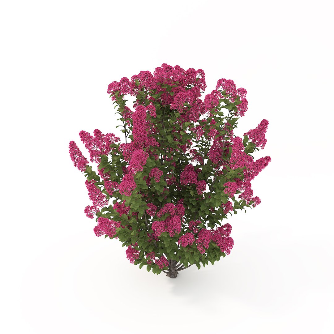 Realistic Shrub Bush Flower Set 3D model - TurboSquid 1743629