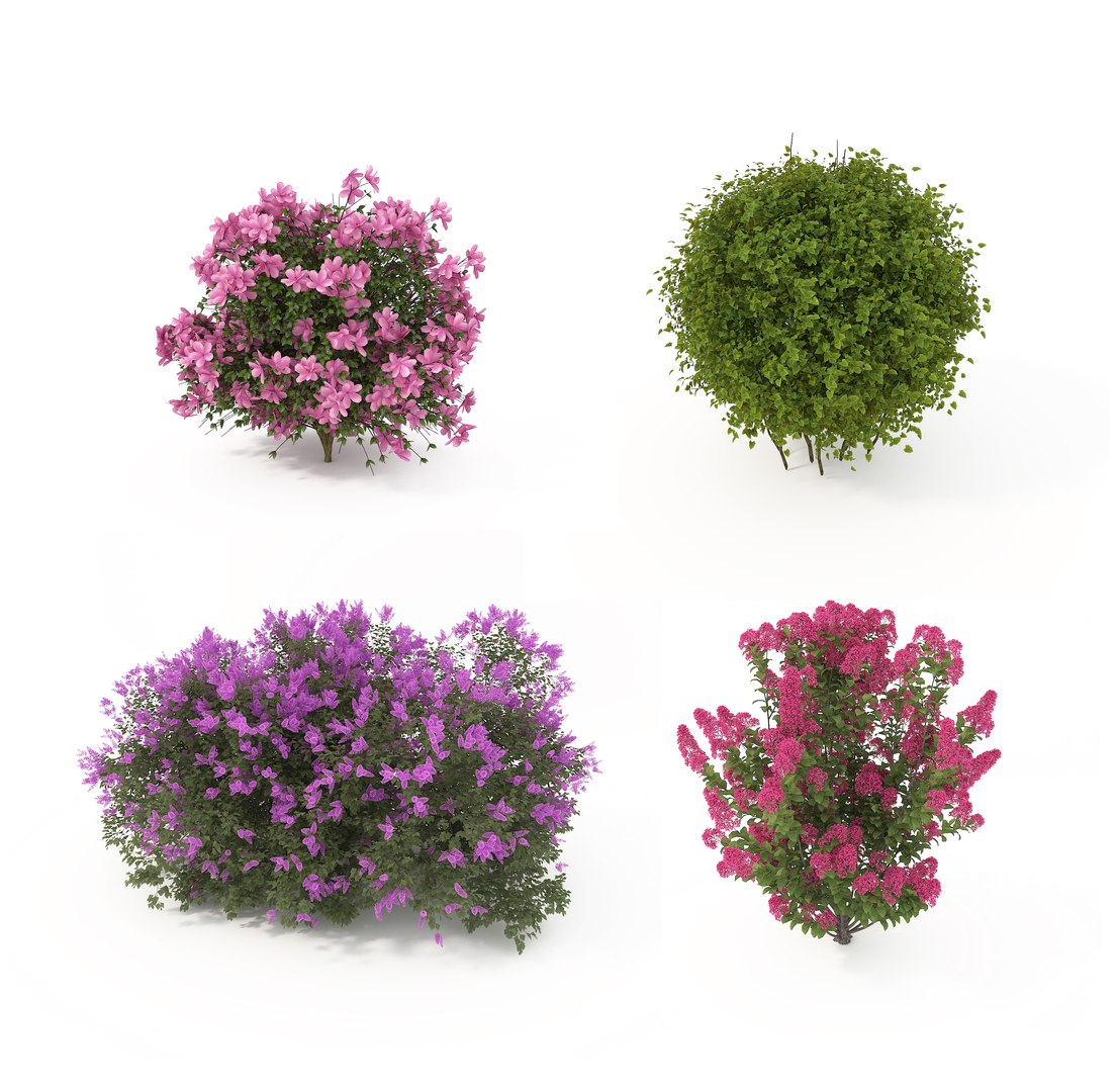 Realistic Shrub Bush Flower Set 3D model - TurboSquid 1743629