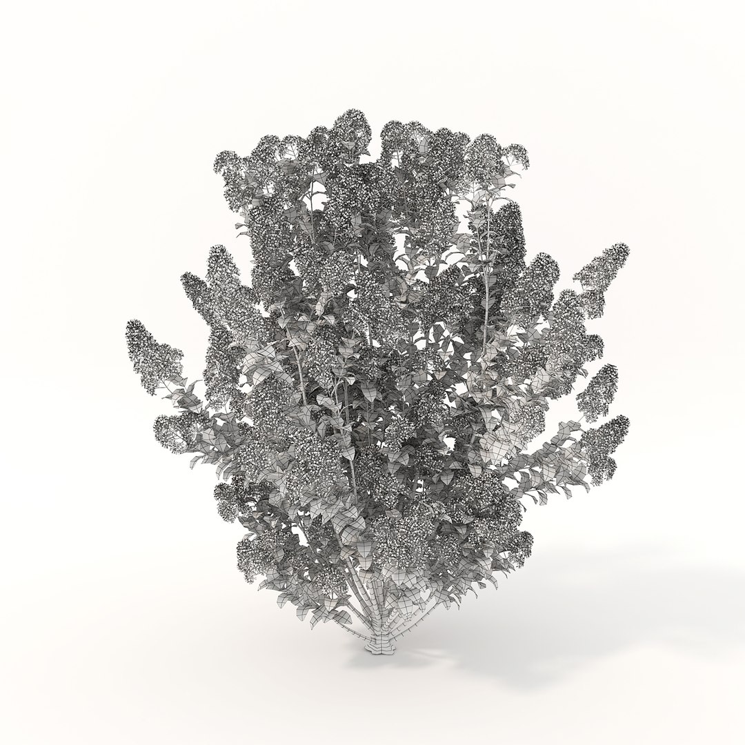 Realistic Shrub Bush Flower Set 3D model - TurboSquid 1743629
