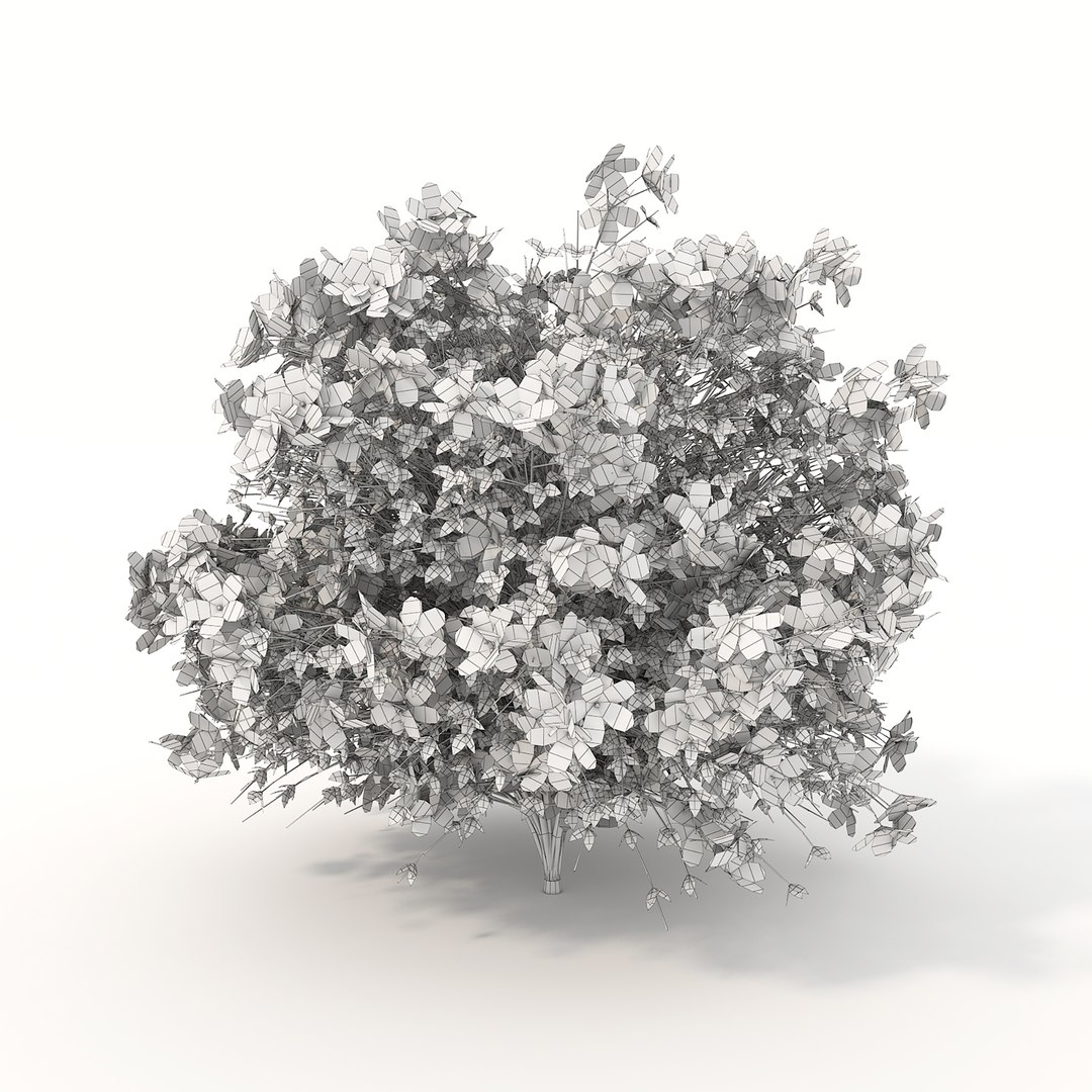 Realistic Shrub Bush Flower Set 3D model - TurboSquid 1743629