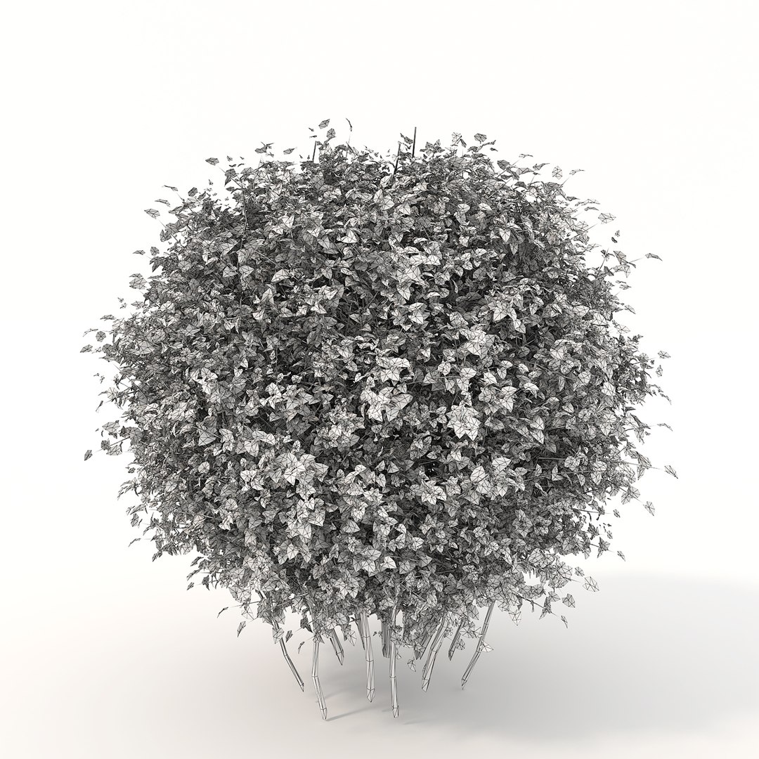 Realistic Shrub Bush Flower Set 3D model - TurboSquid 1743629