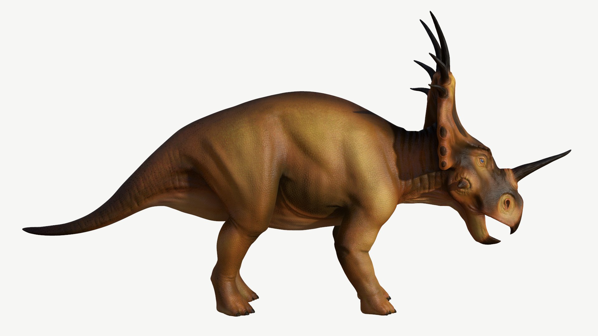 3d Model Styracosaurus