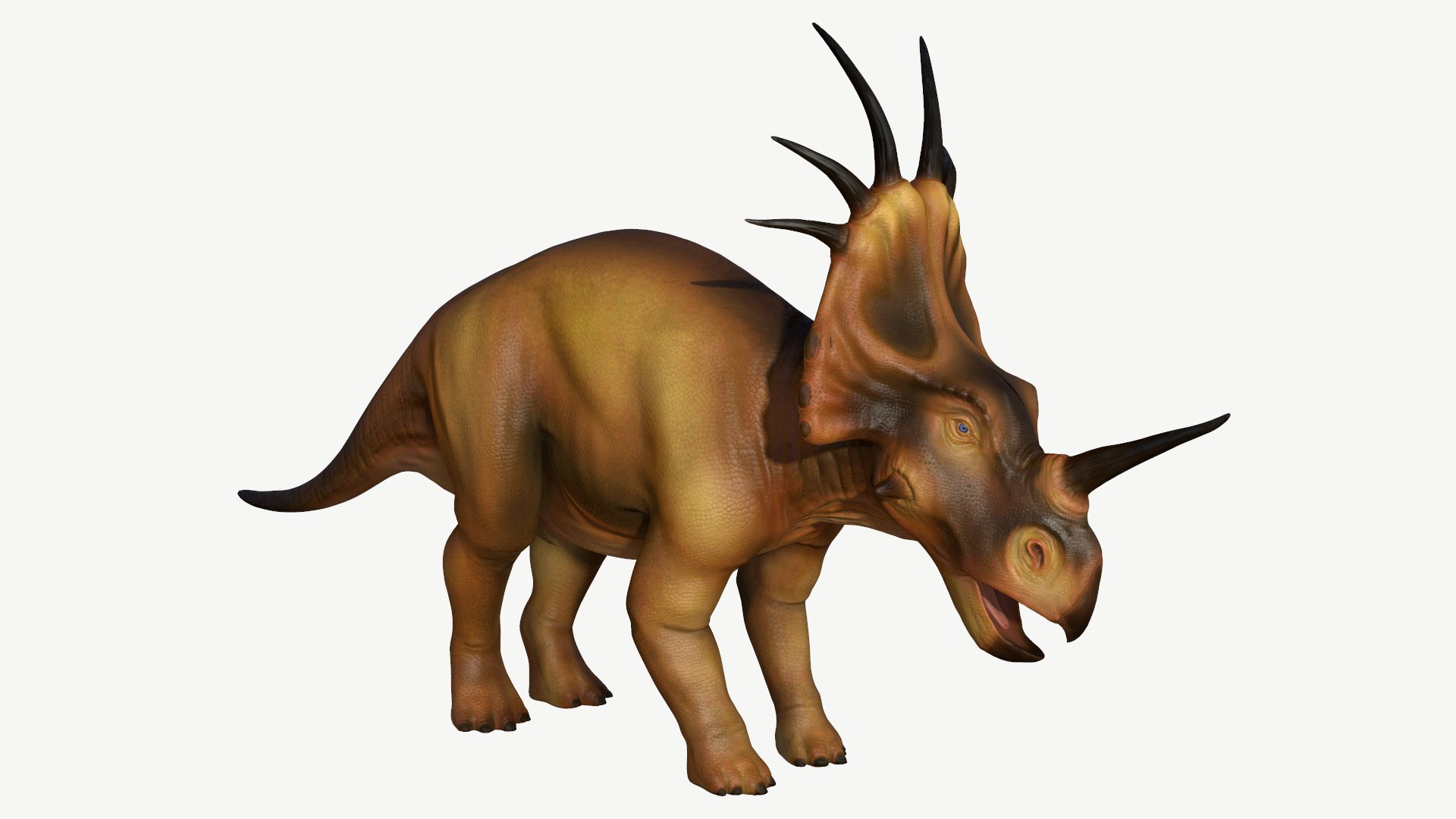 3d Model Styracosaurus