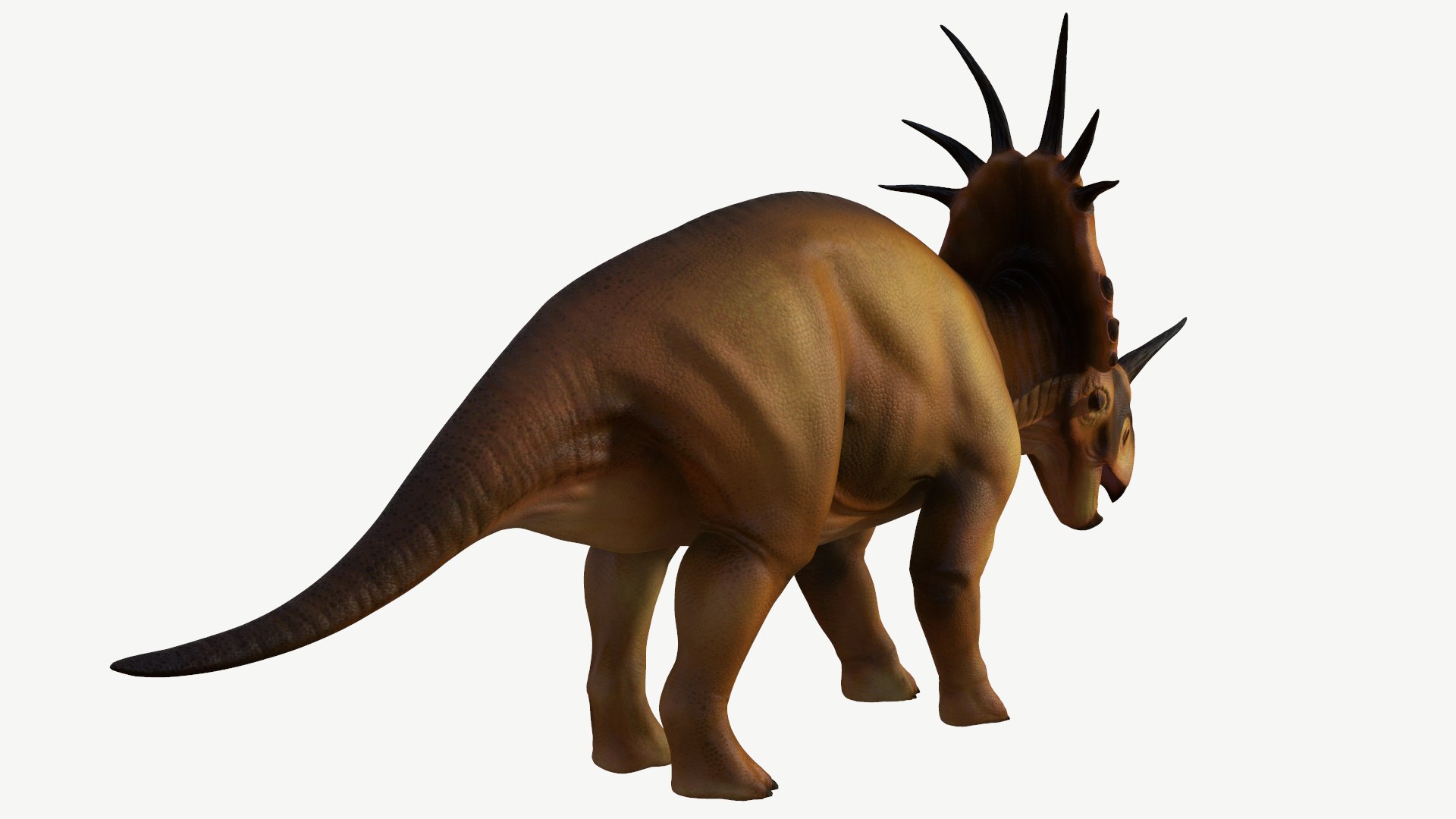 3d Model Styracosaurus