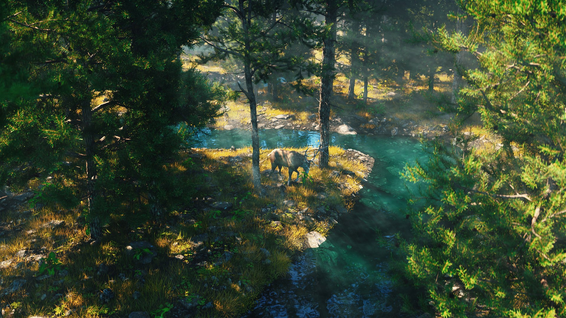 3D C4D Octane Render Forest Early Morning Tropical Rainforest River Elk ...