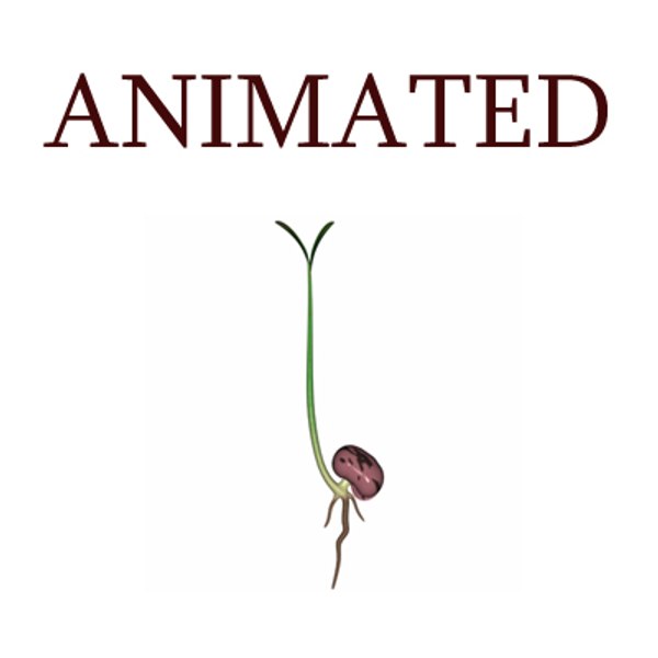 modelo 3d animación de semillas - TurboSquid 454426