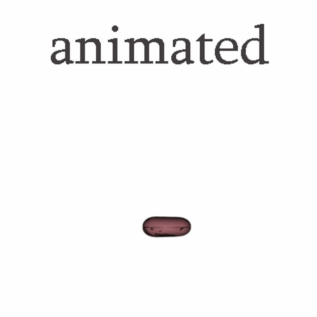 Growing Seed Animation 3d Model