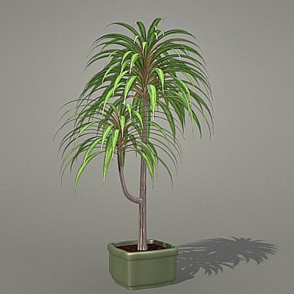 3d model plant