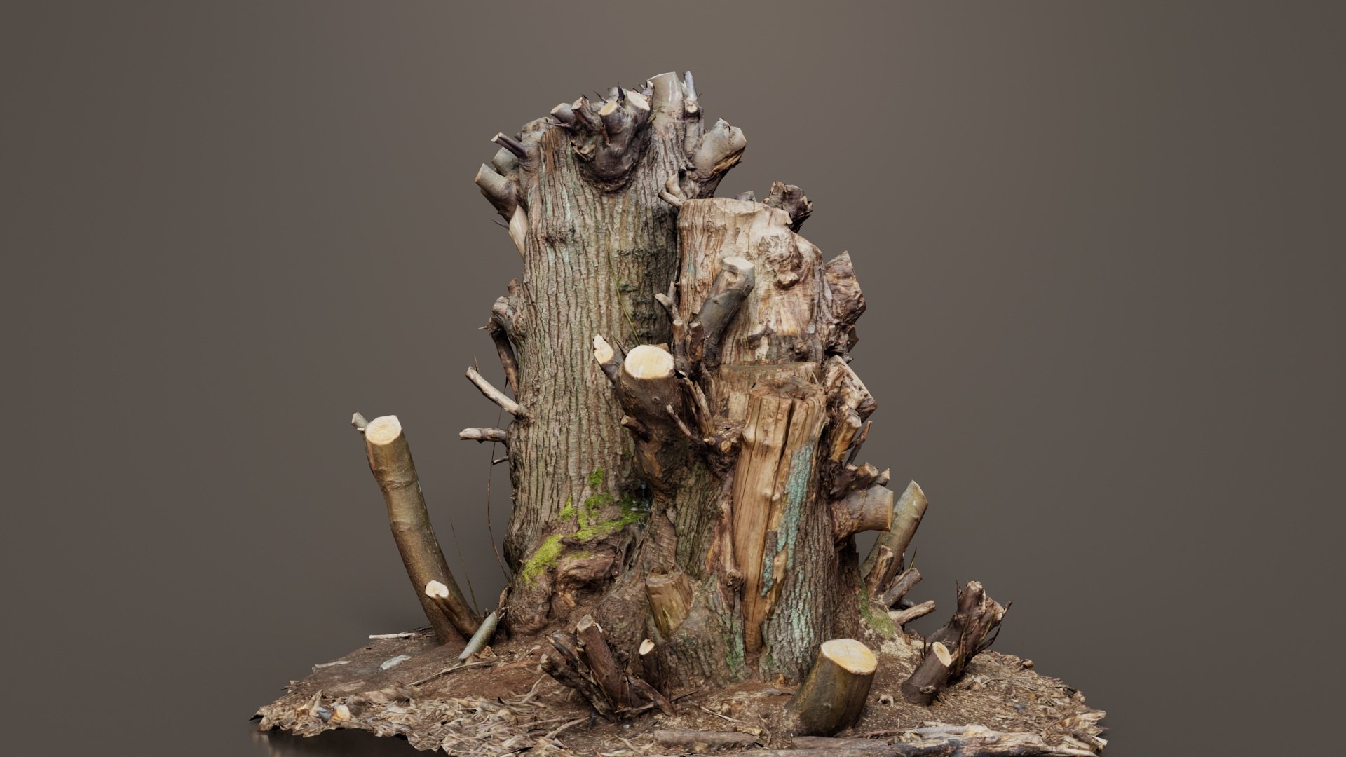 Cut Tree Tripple Stumps Remastered 3D - TurboSquid 2363142