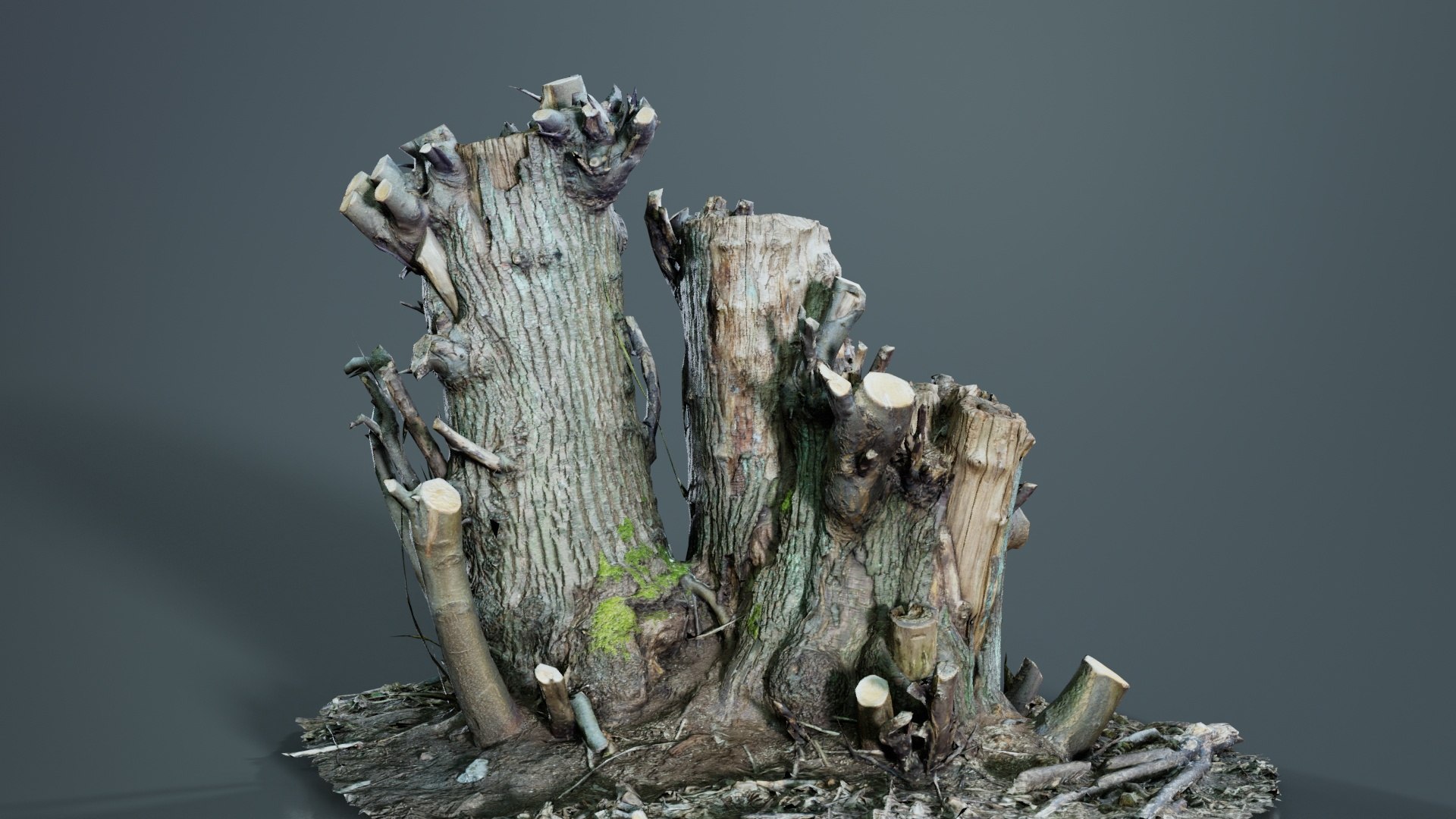 Cut Tree Tripple Stumps Remastered 3D - TurboSquid 2363142
