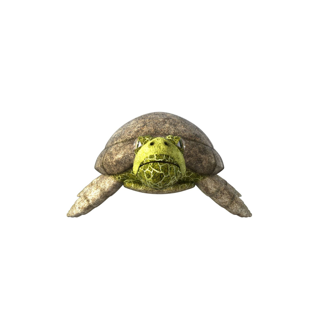 obj rigged sea turtle