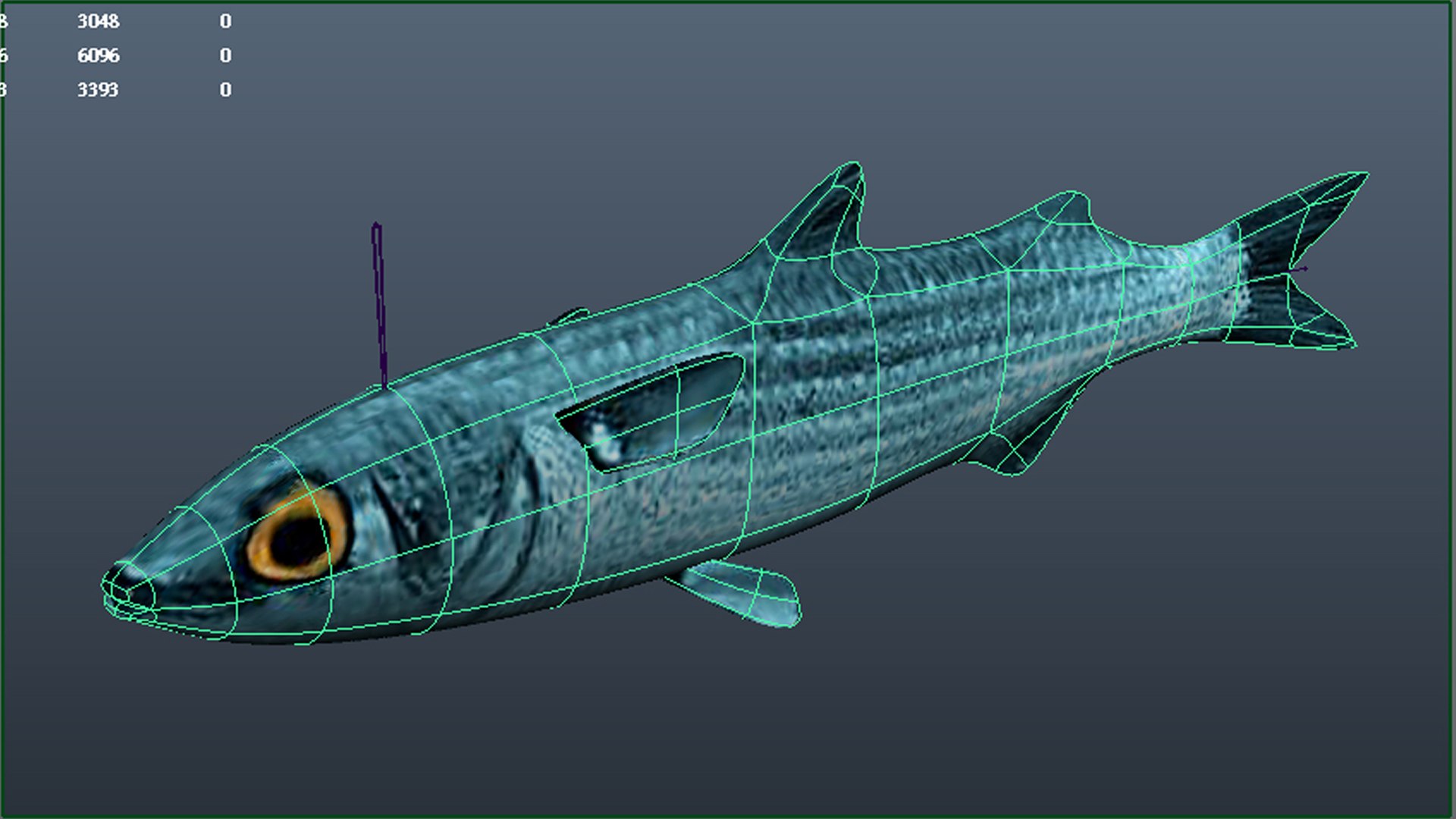 White Mullet Mugil Curema Fish 3D Model - TurboSquid 2198300