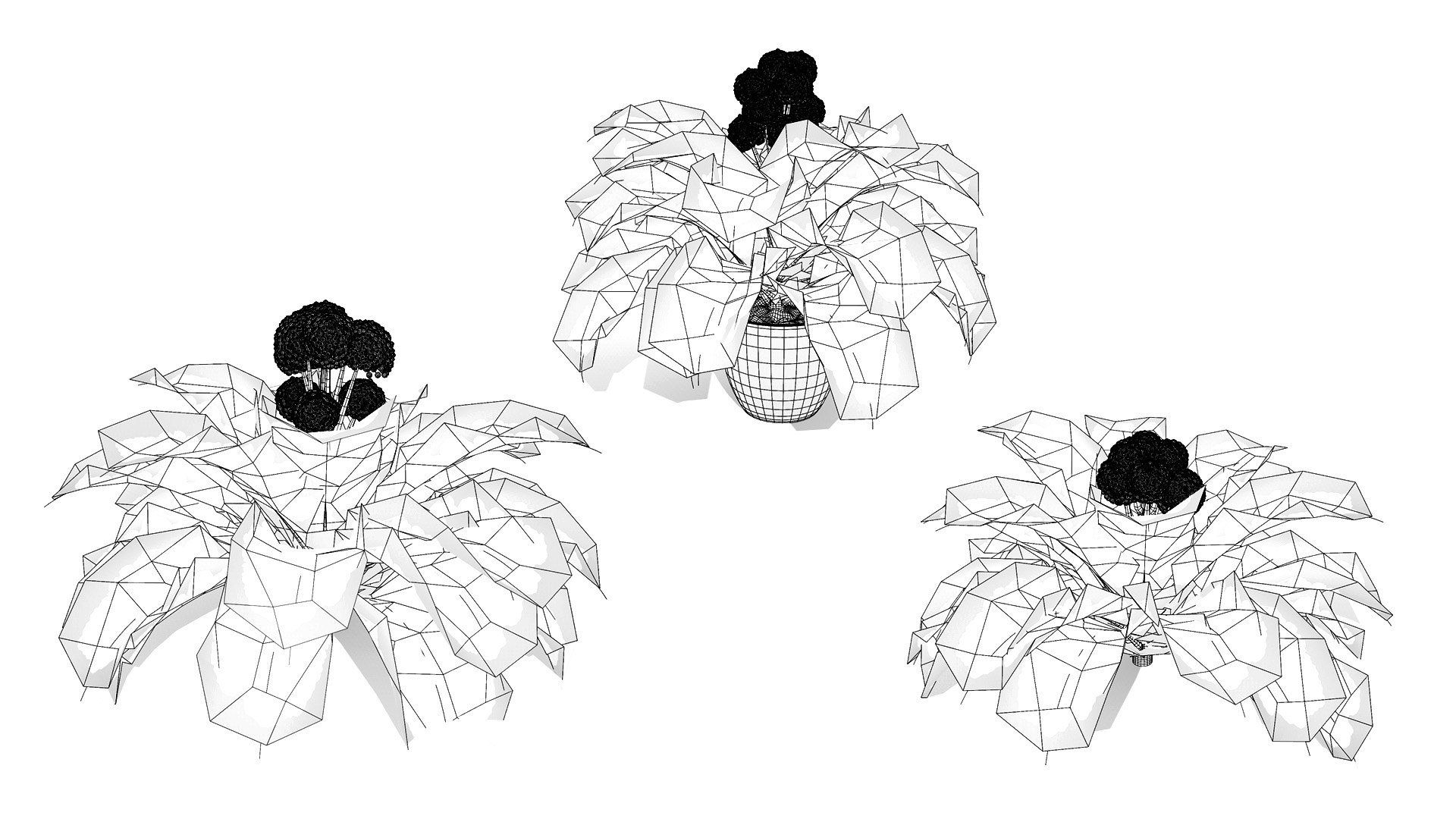 Realistic Broccoli Models 3D Model - TurboSquid 2347669