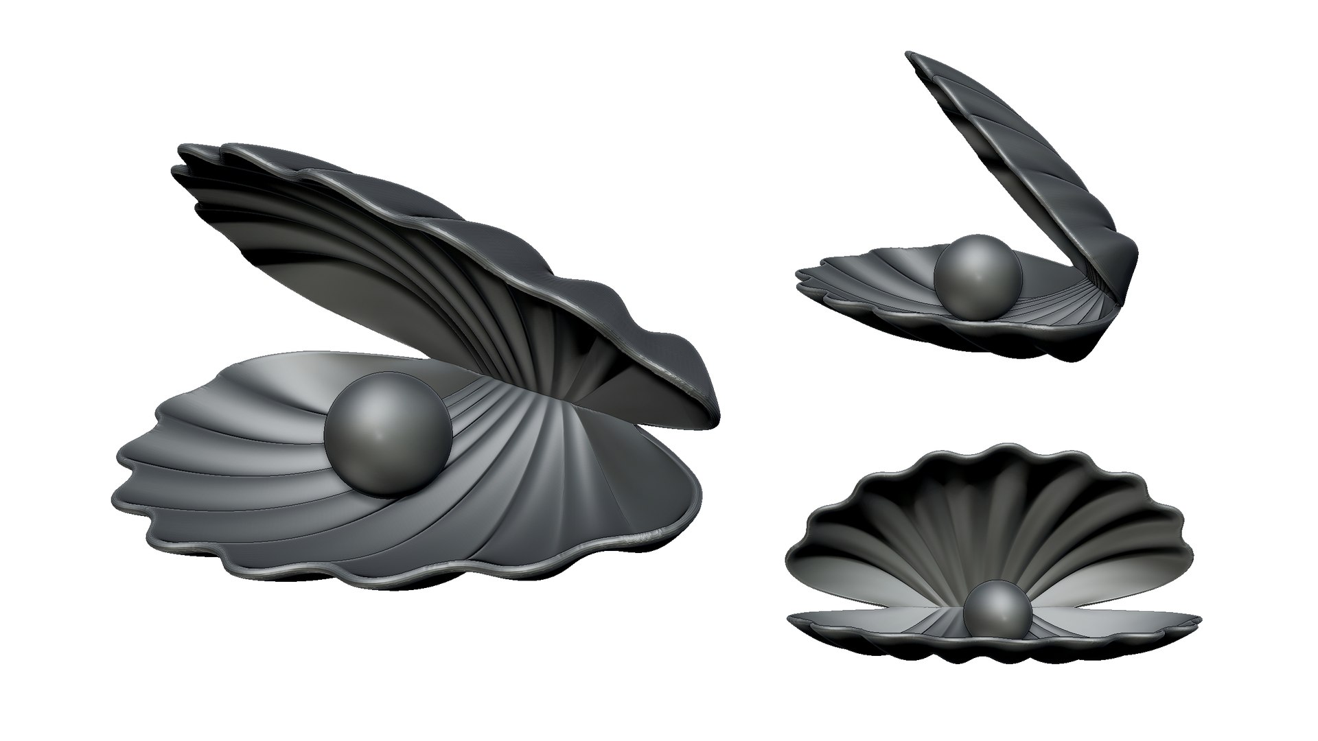 3D Shell Pearl - TurboSquid 2282288