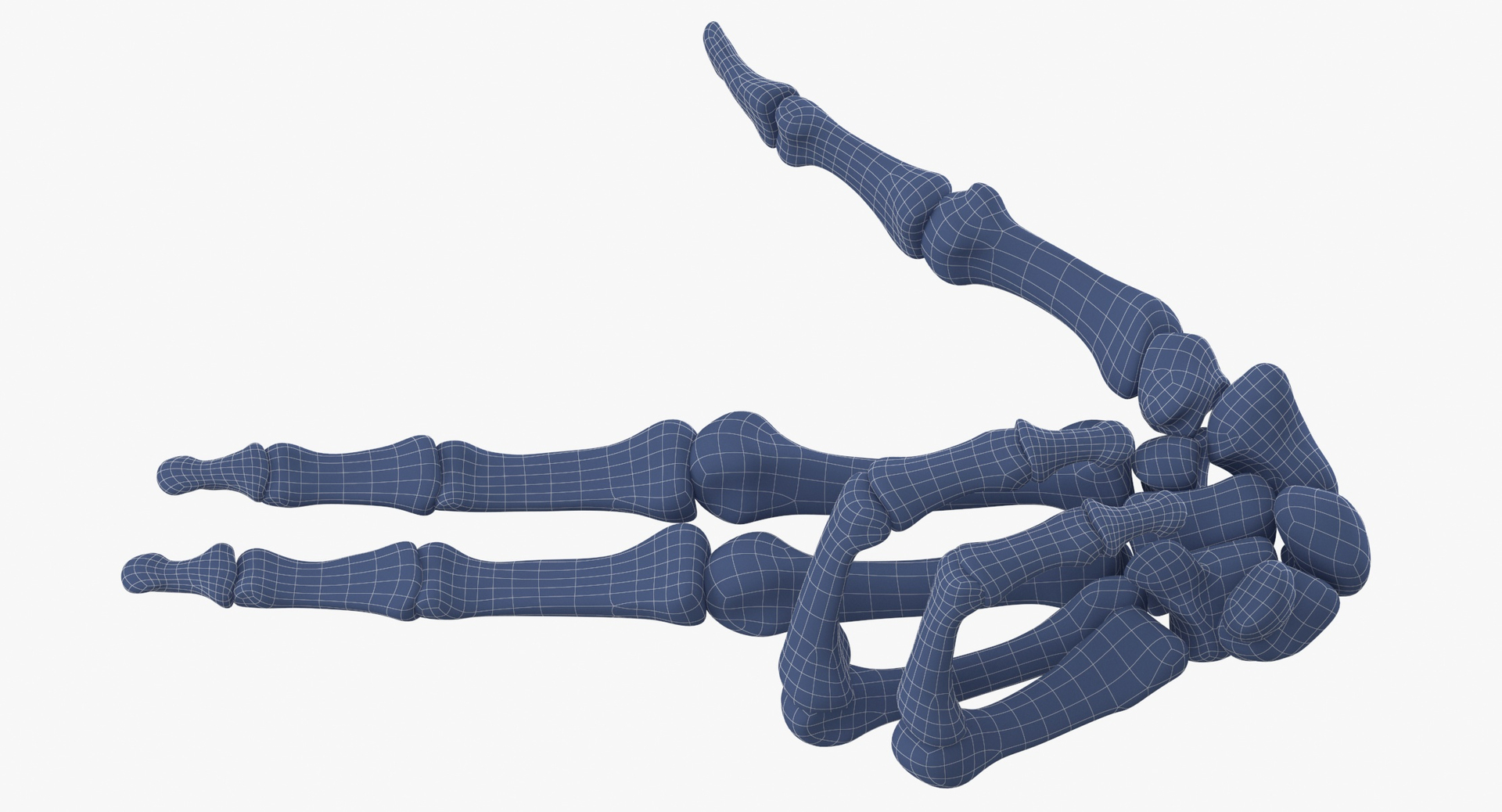 3D human hand bones gun model - TurboSquid 1610614