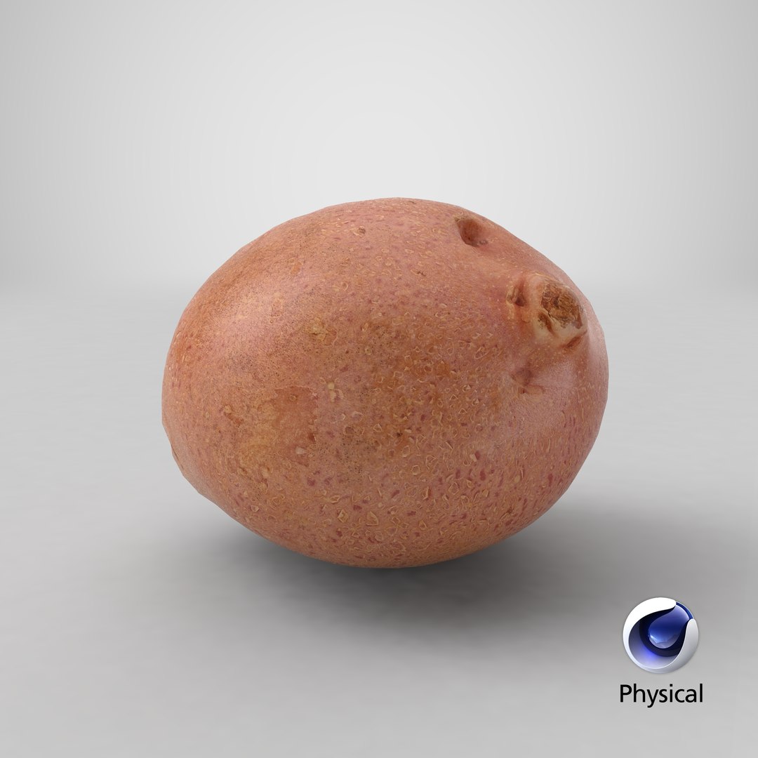 3D Red Potato 04 Ready Model - TurboSquid 1433112