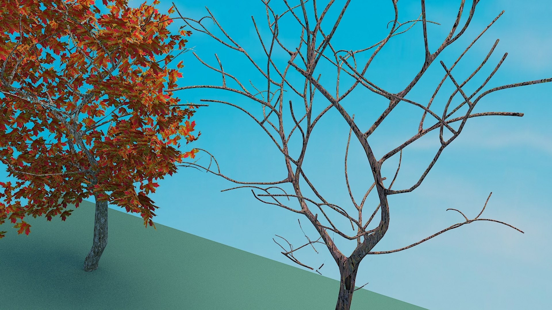 Trees model - TurboSquid 1573758