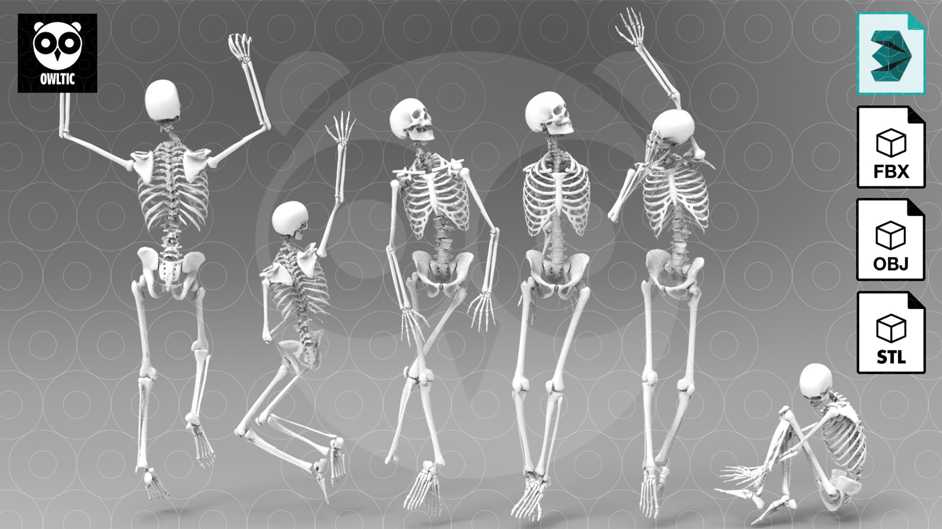 3d Model Skeleton Pose Turbosquid 2108047