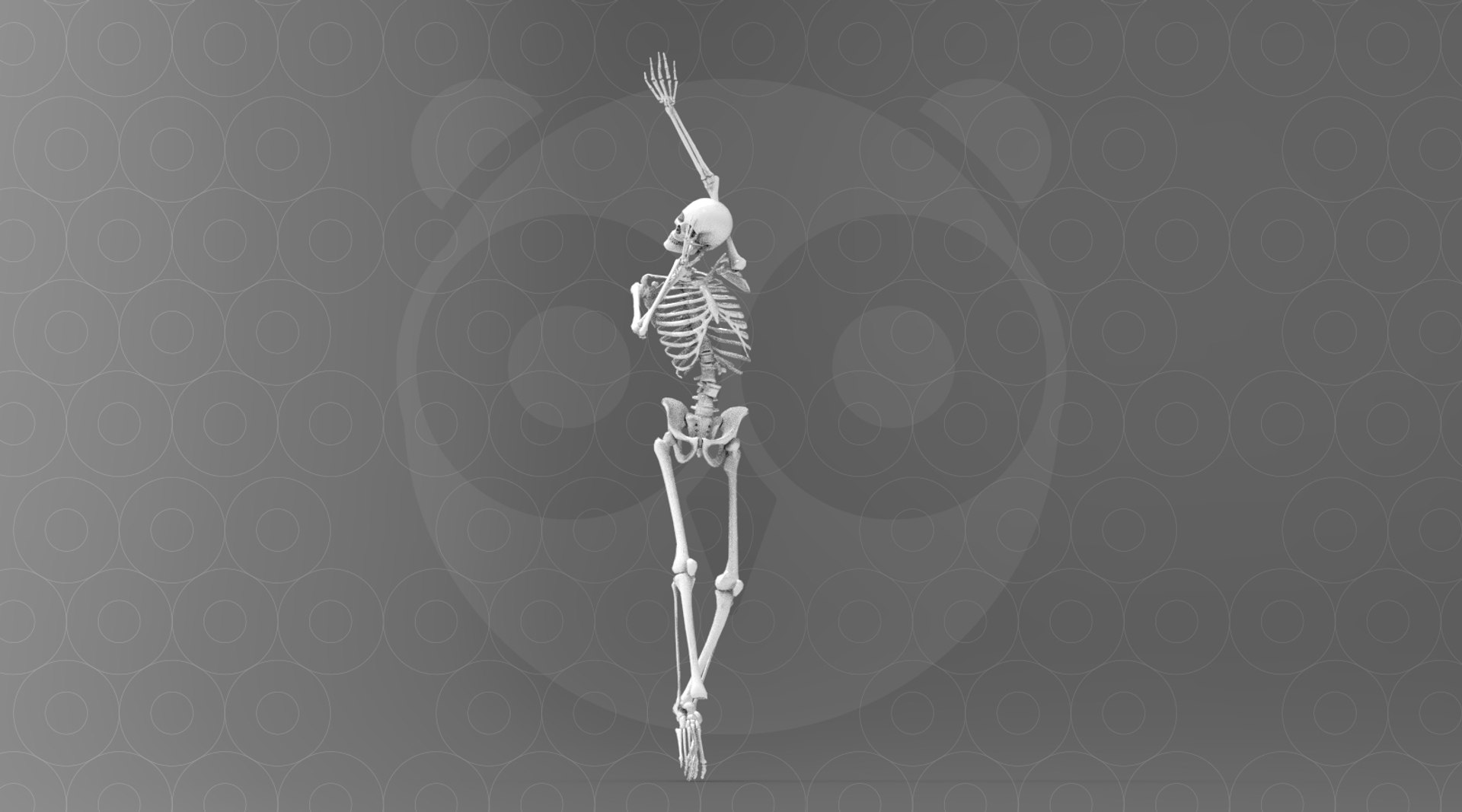 3D Model Skeleton Pose - TurboSquid 2108047