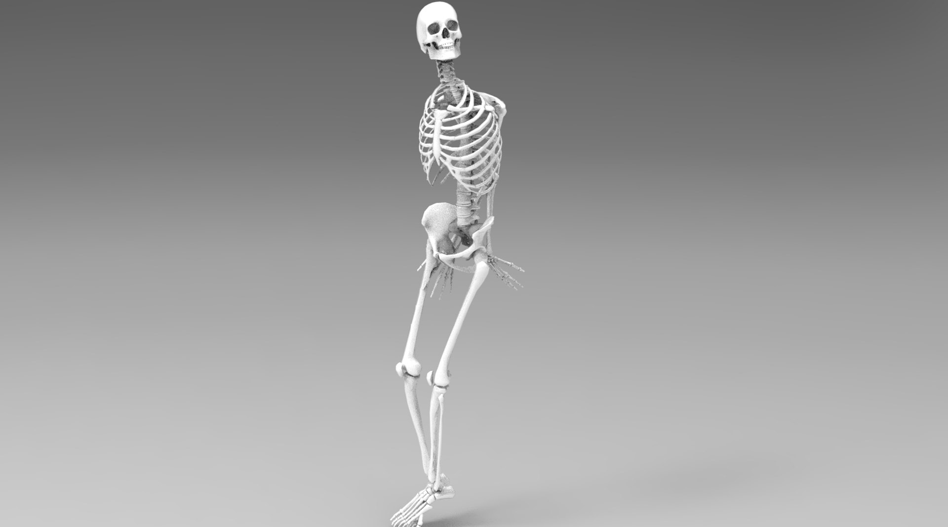 3D model Skeleton Pose - TurboSquid 2108047
