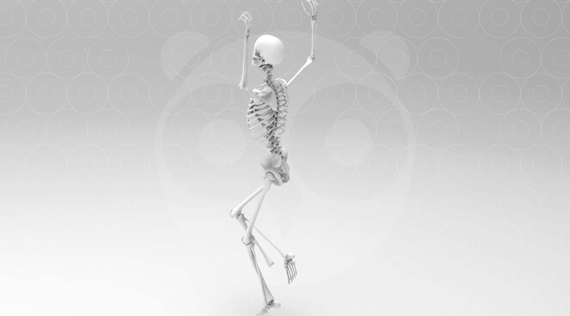 3D Model Skeleton Pose - TurboSquid 2108047