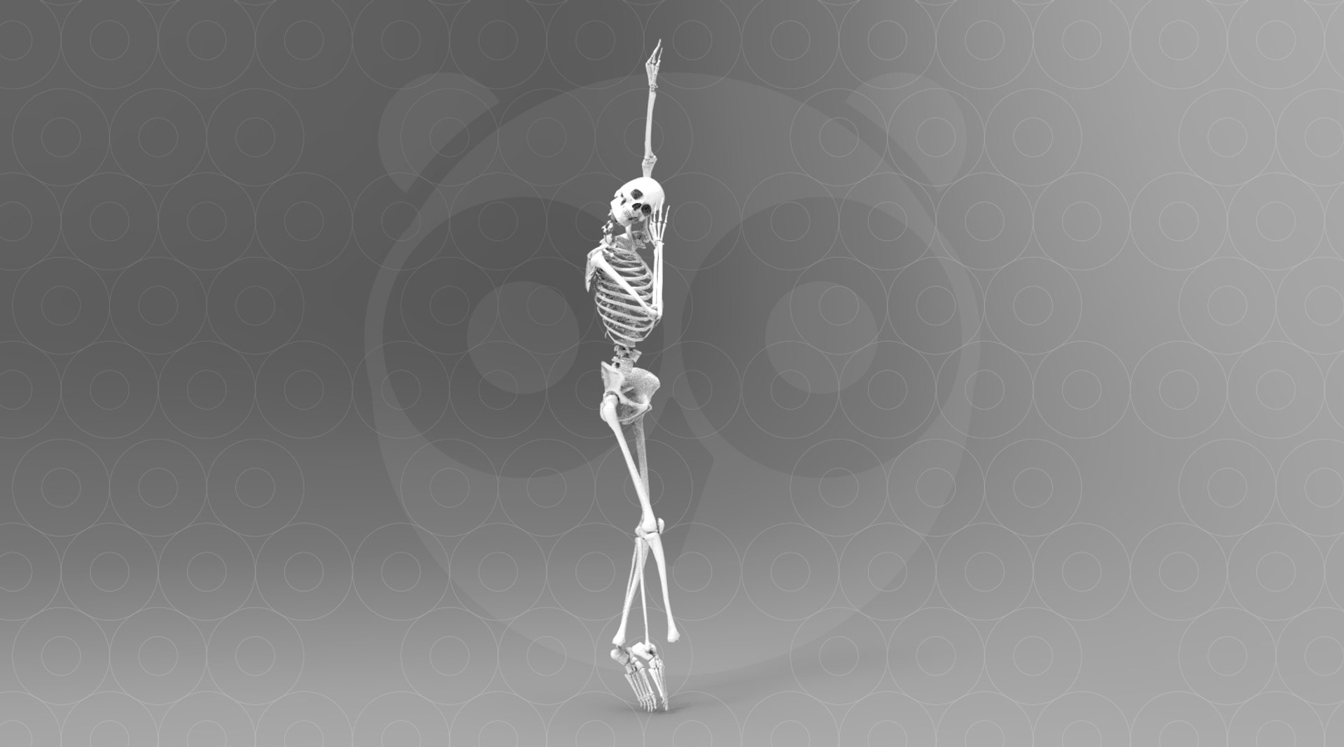3d Model Skeleton Pose Turbosquid 2108047
