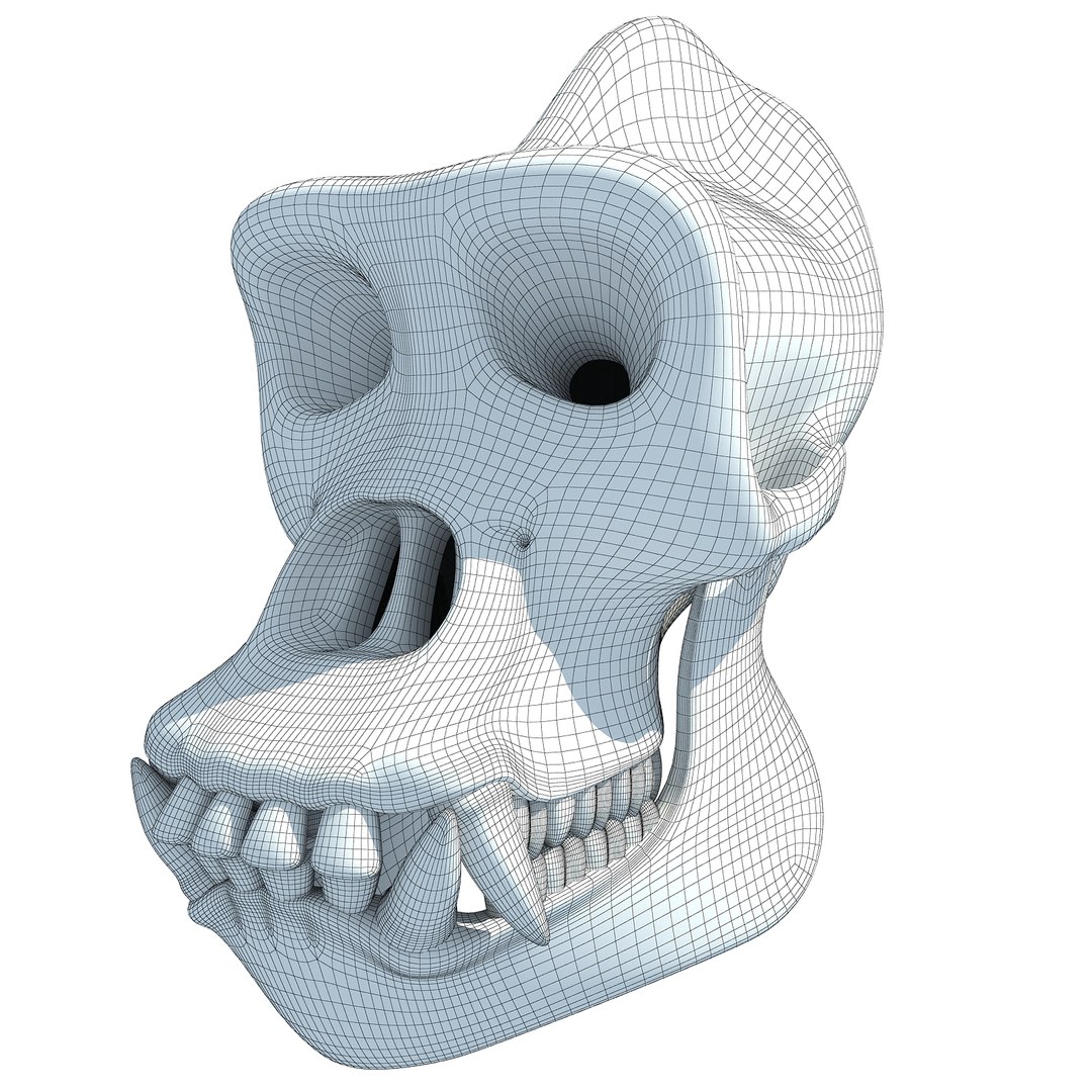 Gorilla Skull Skeleton 3d 3ds
