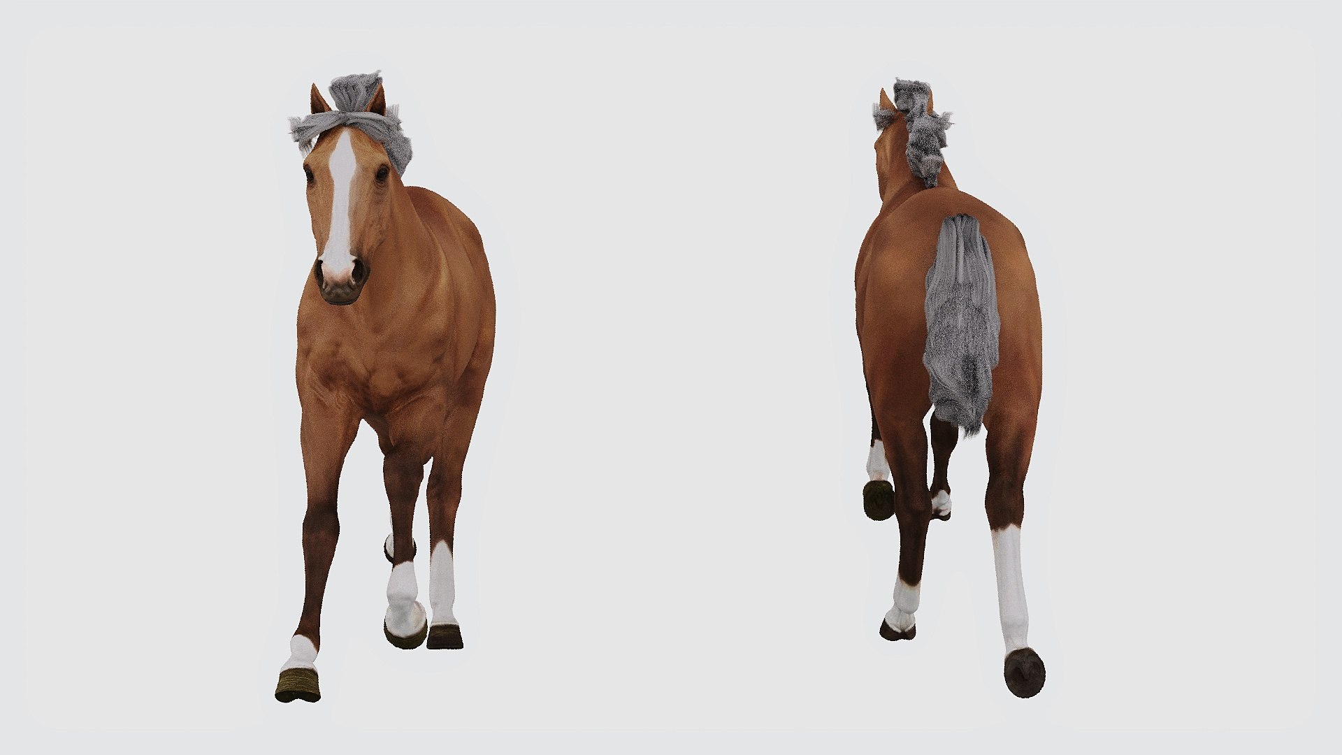 3D Running Horse Model - TurboSquid 2356332