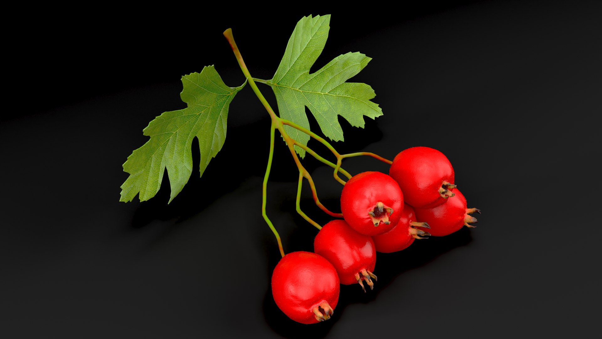 3D Berry Branches Collection - TurboSquid 2035991
