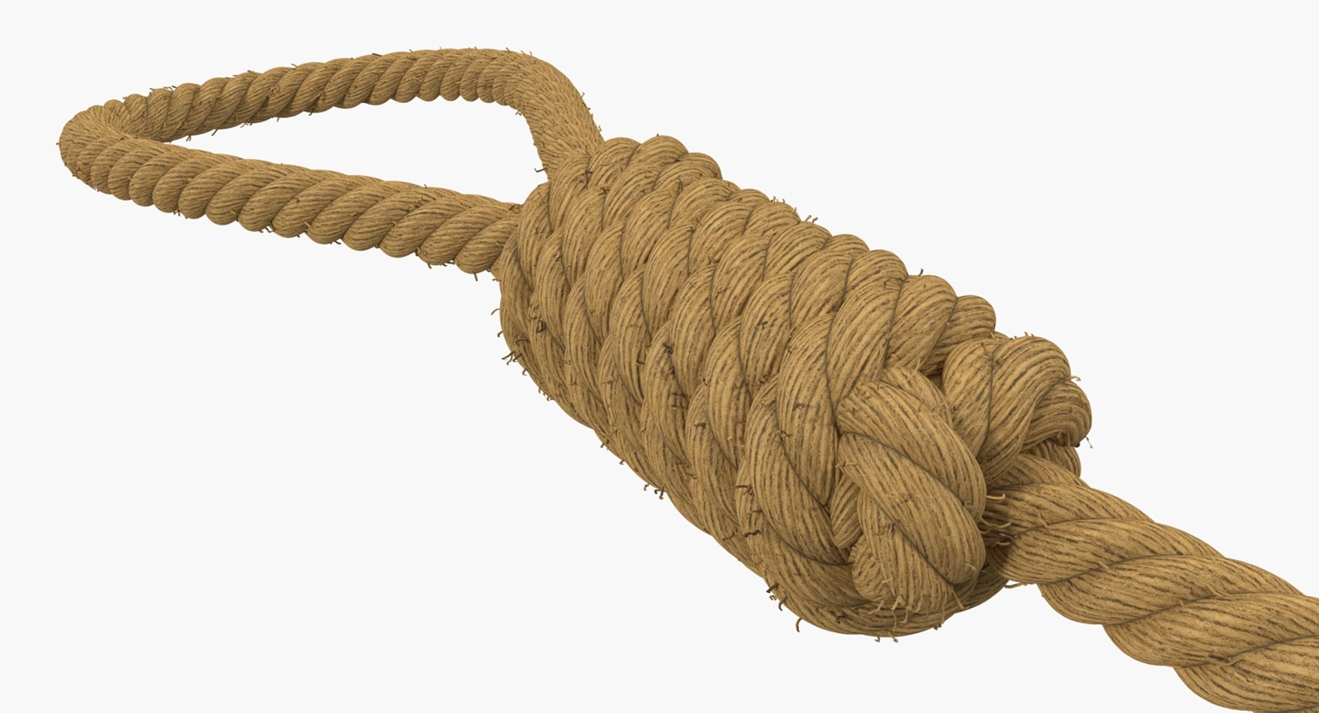 3D Noose - TurboSquid 1283202