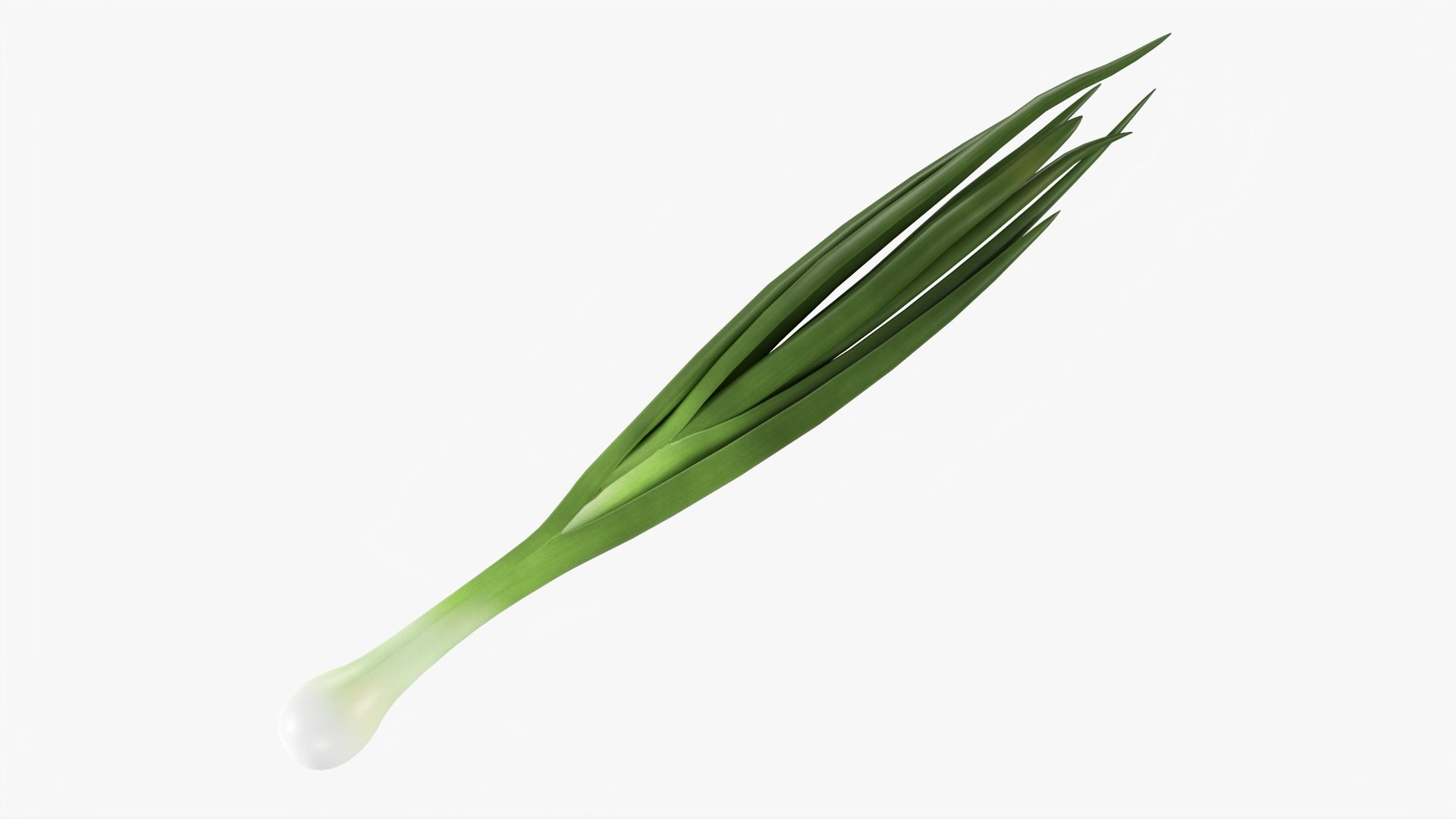 3D Spring Onions 04 Model - TurboSquid 1777299