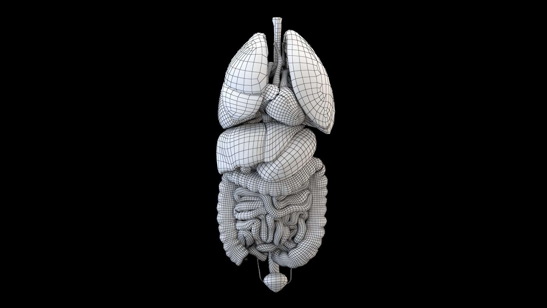 3D Model Internal Organs - TurboSquid 1504016