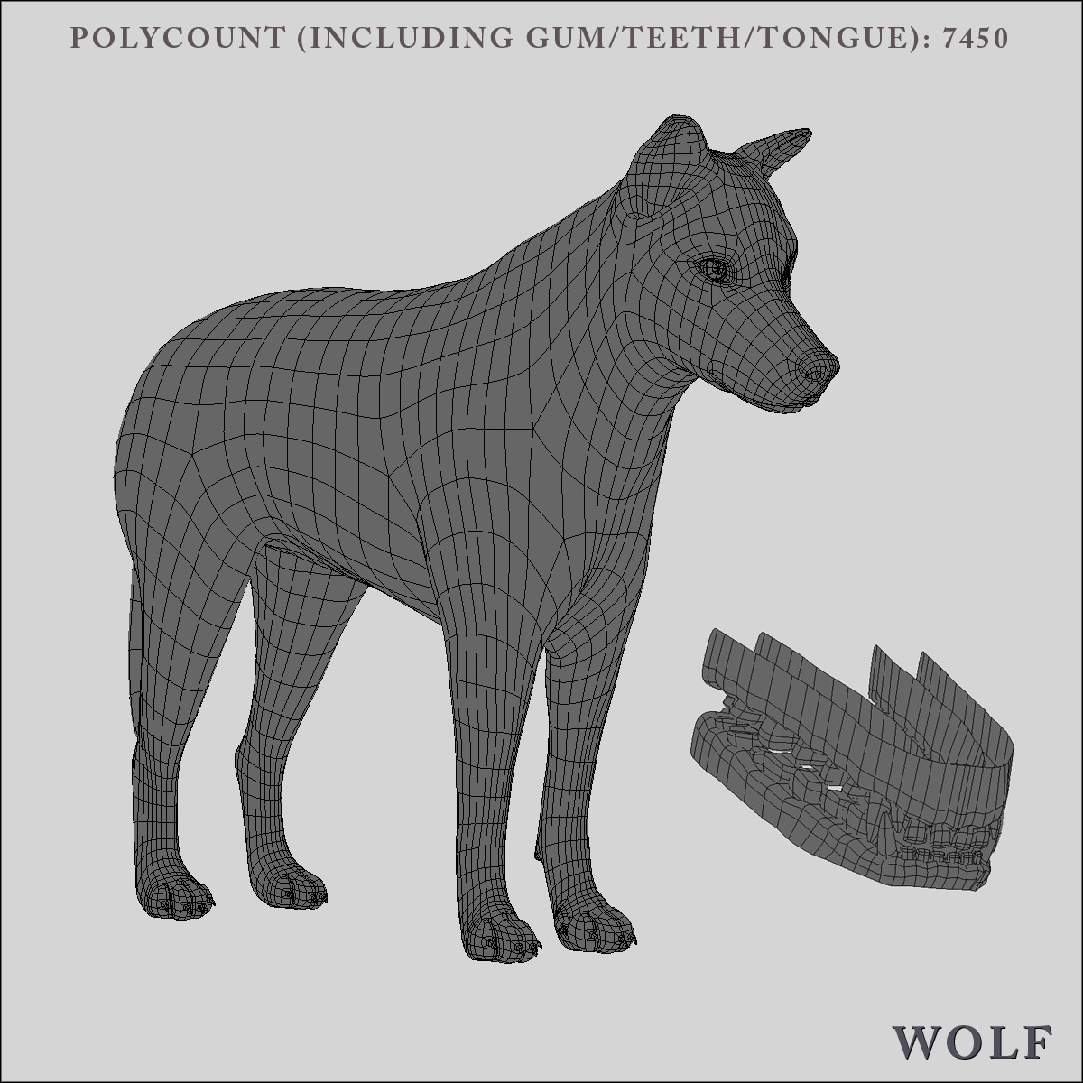 wolf fur 3d model