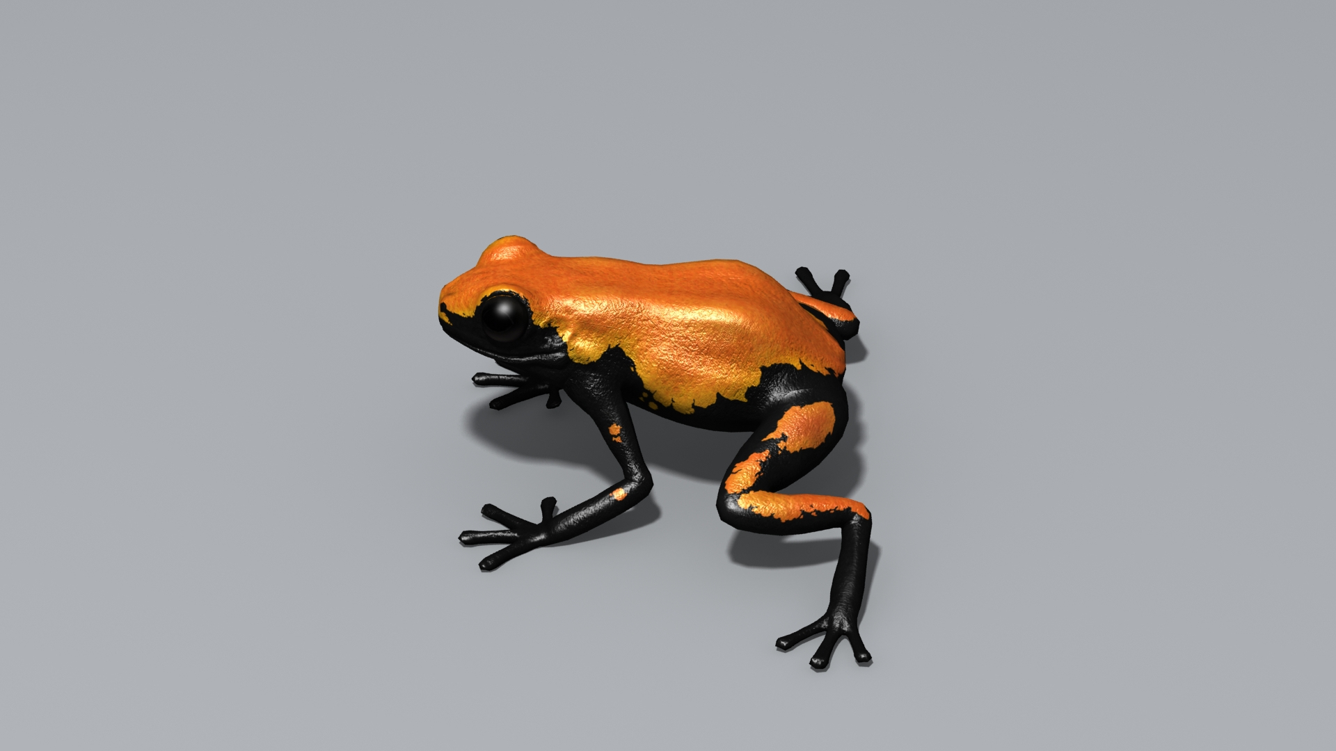 Orange Backsplash Frog 3D Model - TurboSquid 2202656