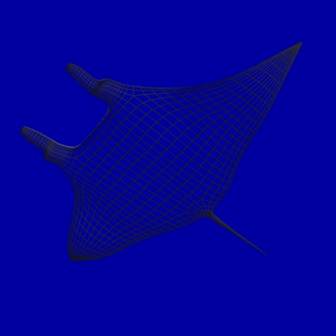 3d Model Manta