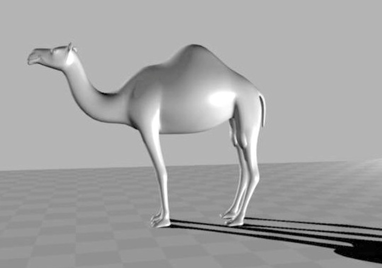 3d Dromedary Camel Model