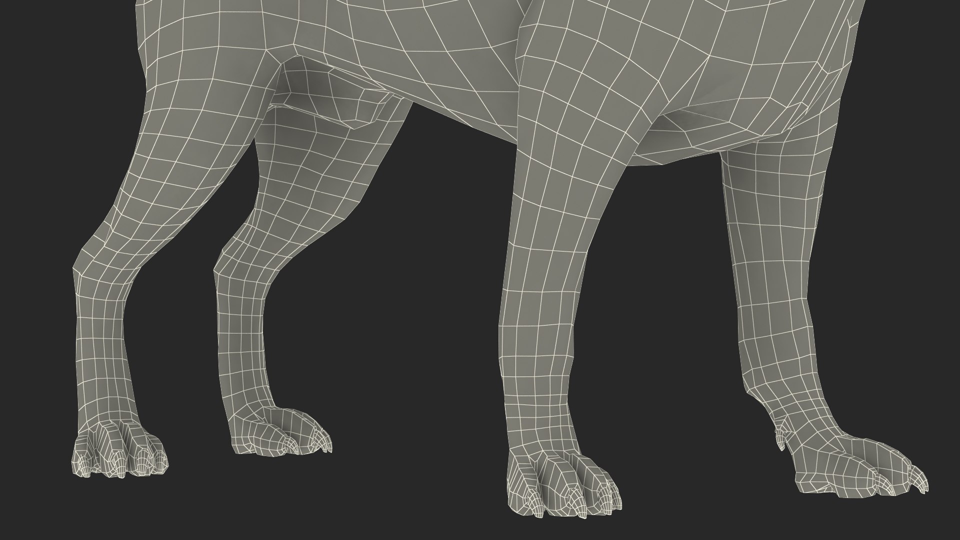 3D Spotted Jack Russell Terrier Model - TurboSquid 1456862