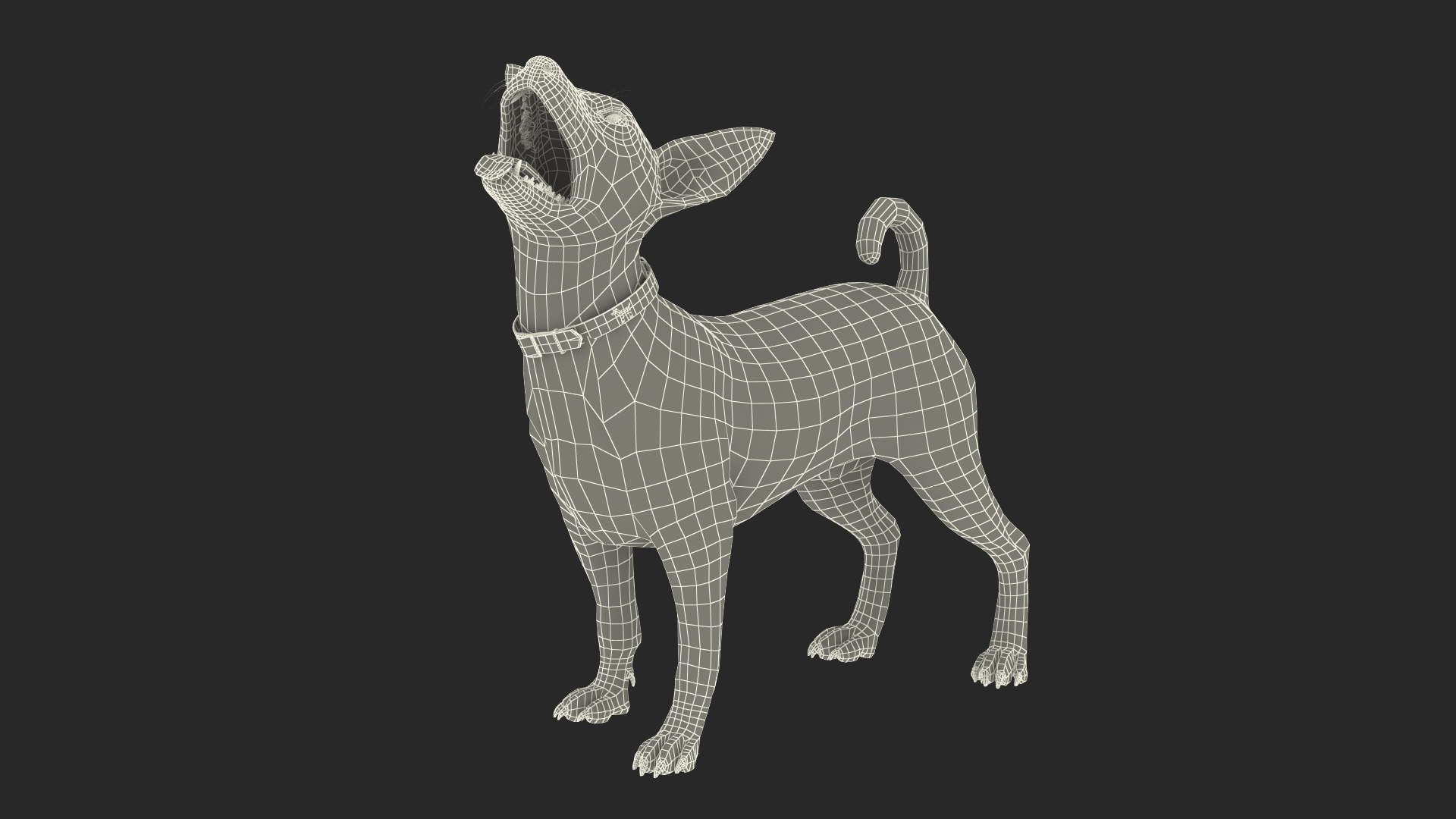 3D Spotted Jack Russell Terrier Model - TurboSquid 1456862