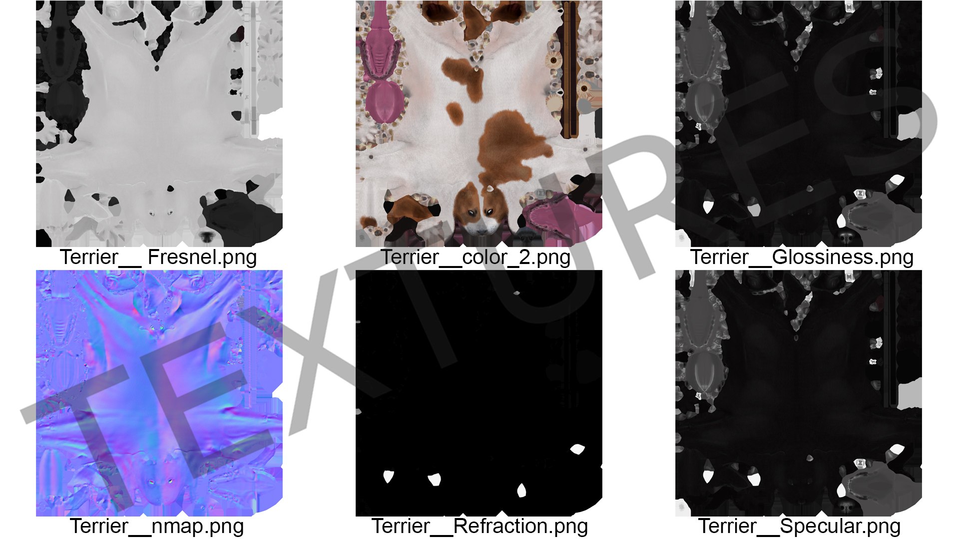 3D Spotted Jack Russell Terrier Model - TurboSquid 1456862