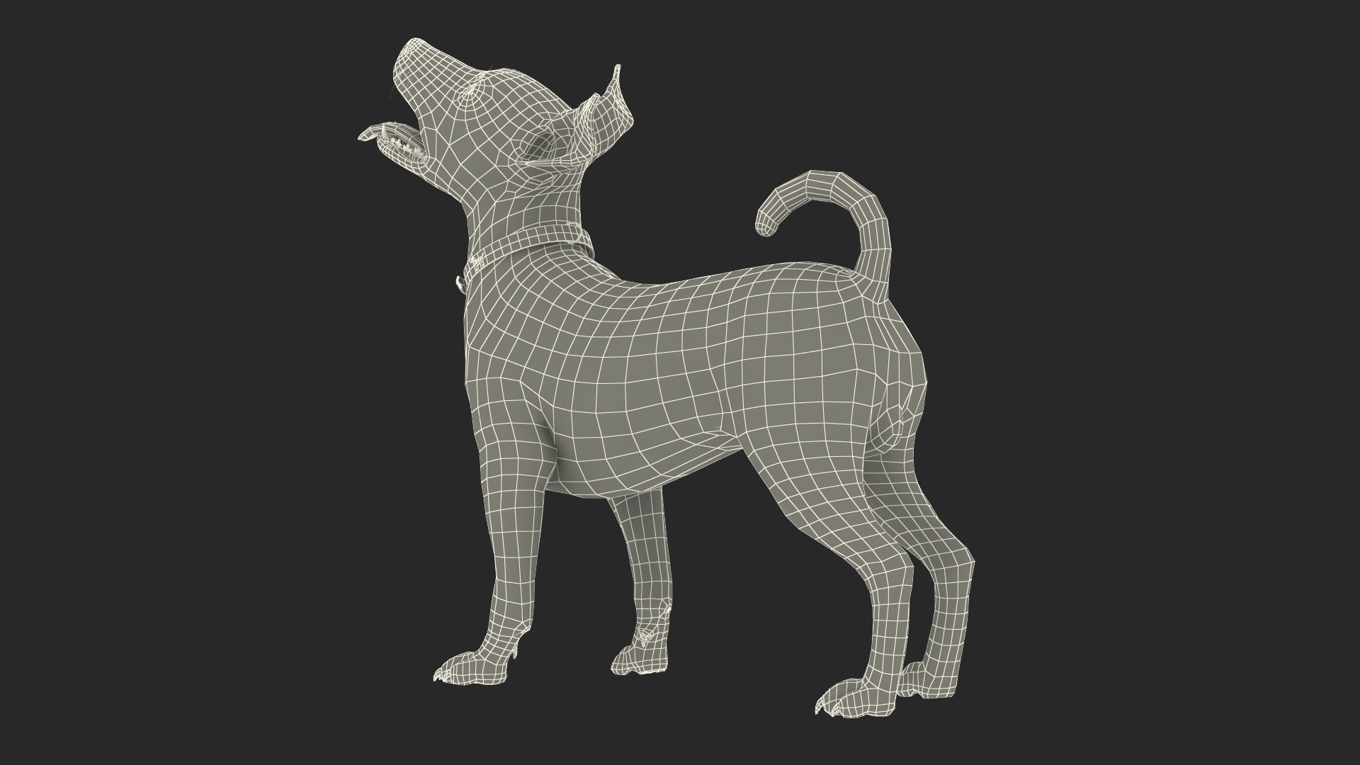 3D Spotted Jack Russell Terrier Model - TurboSquid 1456862