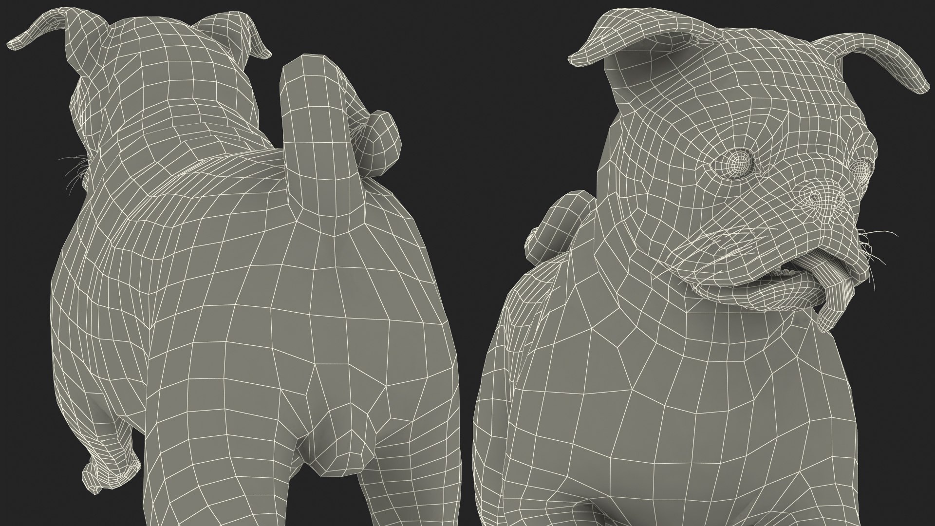 Pug dog run pose 3D - TurboSquid 1681963