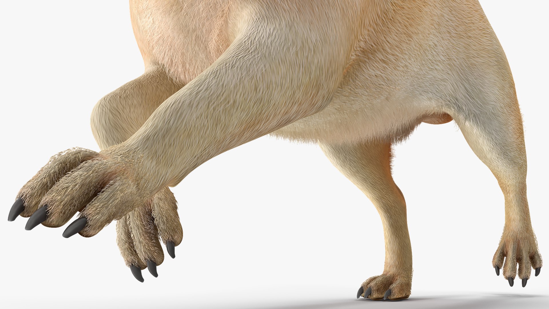 Pug dog run pose 3D - TurboSquid 1681963