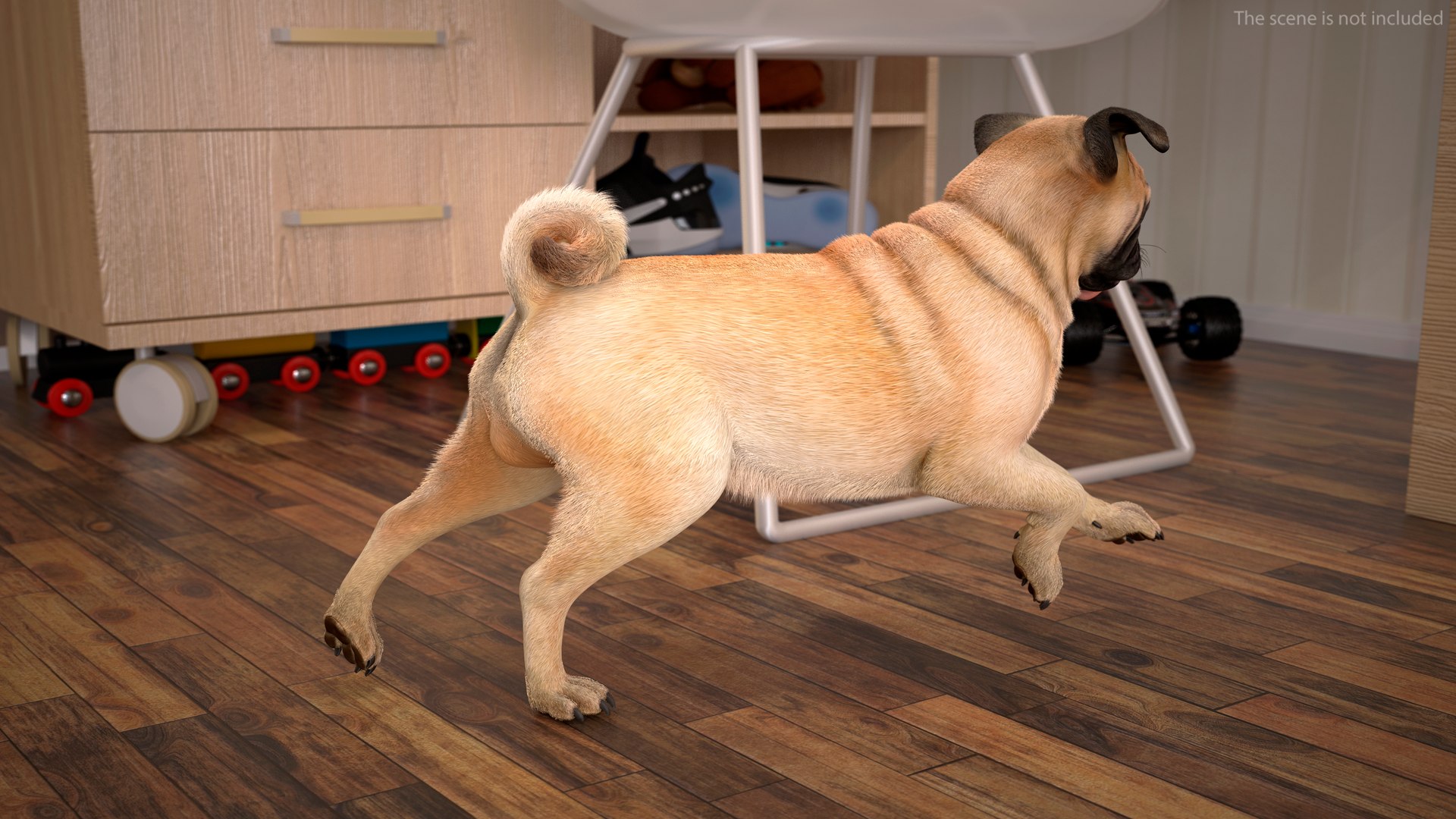 Pug dog run pose 3D - TurboSquid 1681963