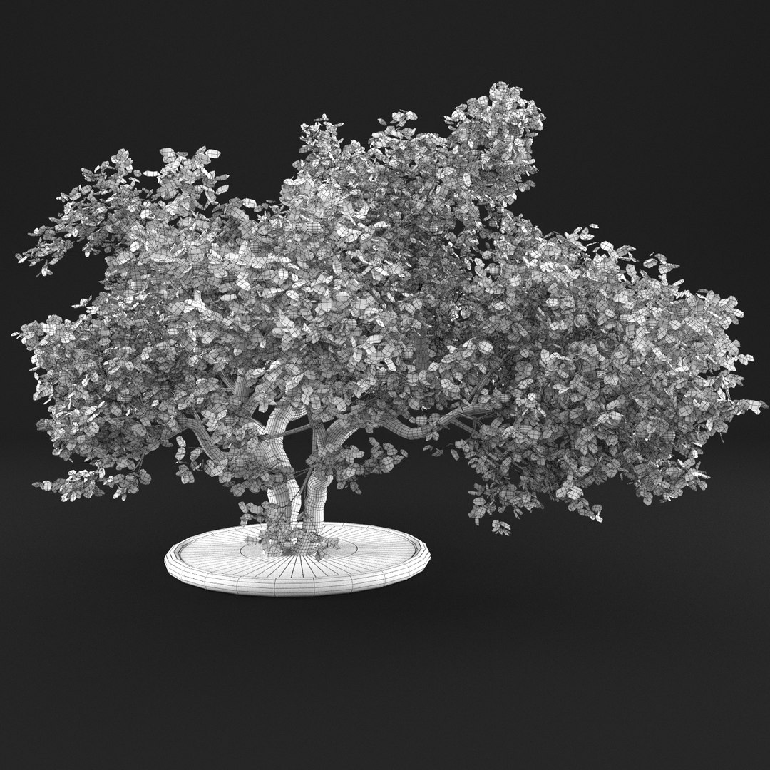 3D Apple Tree Model - TurboSquid 1159257