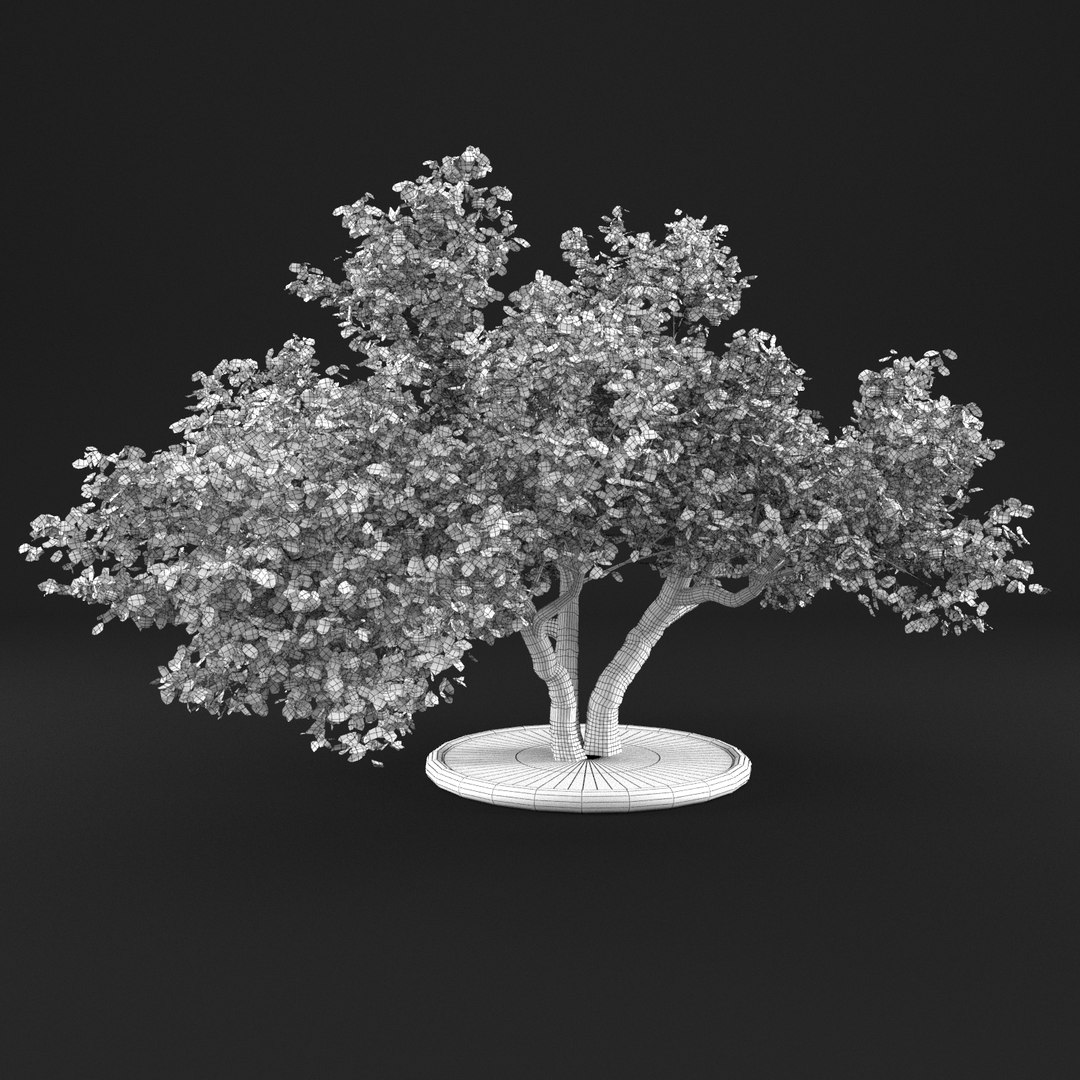 3D Apple Tree Model - TurboSquid 1159257