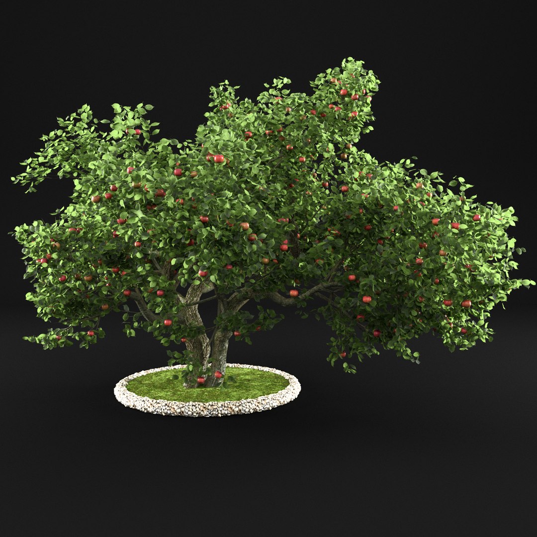 3D Apple Tree Model - TurboSquid 1159257