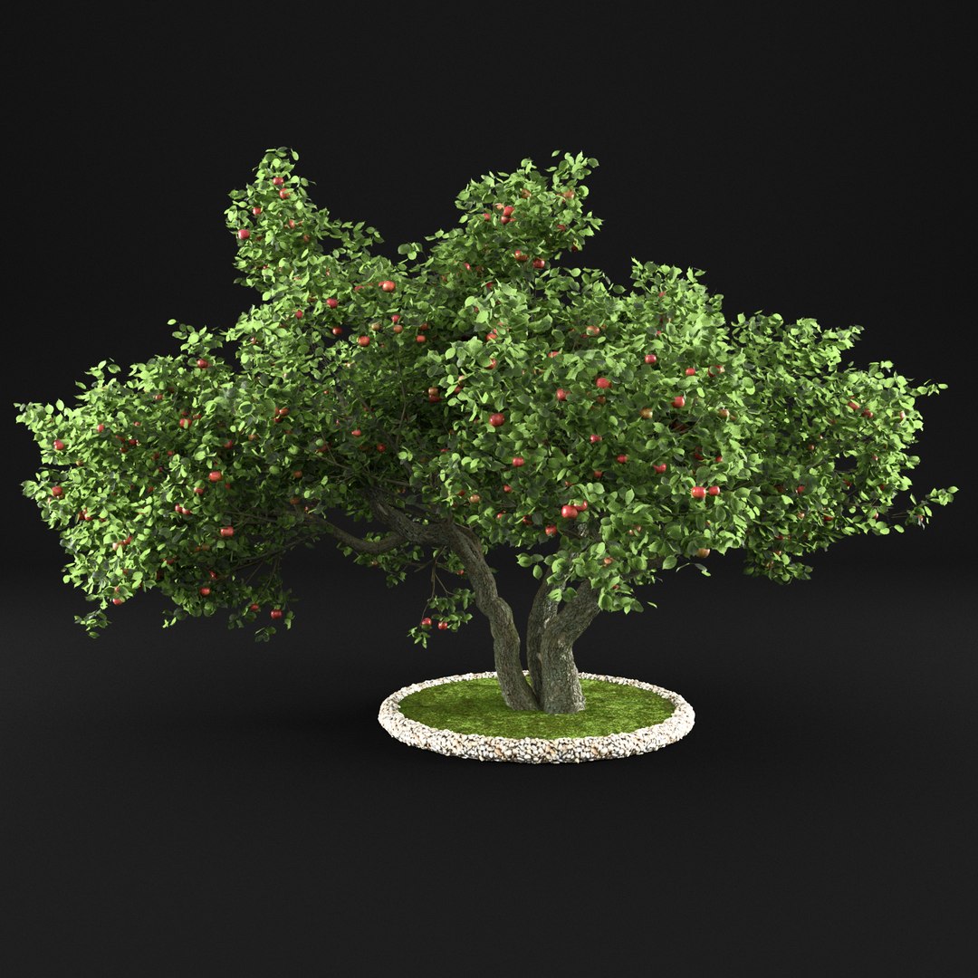 3D Apple Tree Model - TurboSquid 1159257