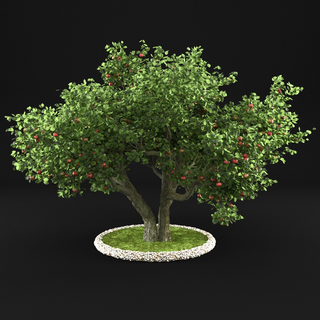 3D Apple Tree Model - TurboSquid 1159257